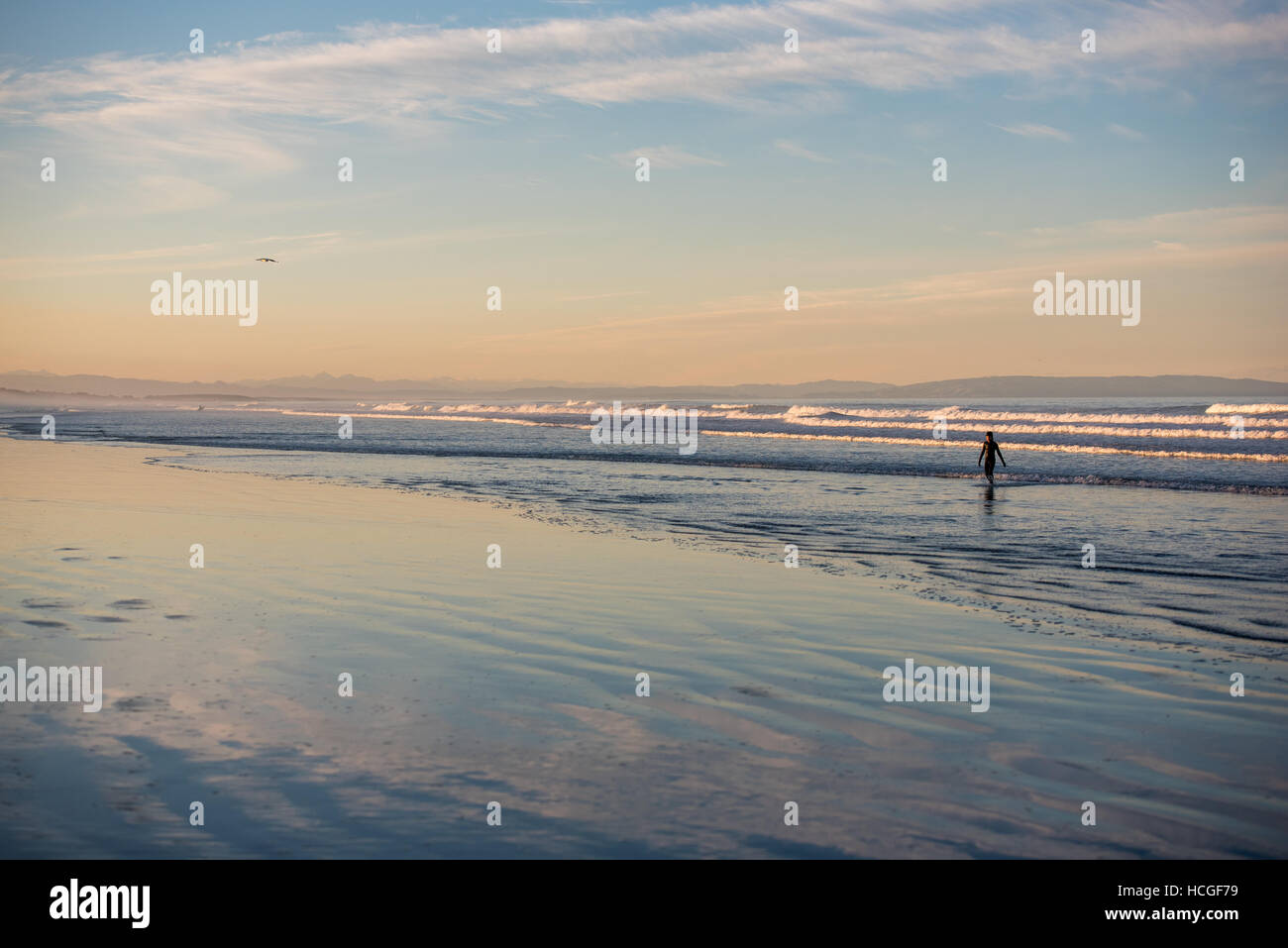 surfer at sunset Stock Photo - Alamy