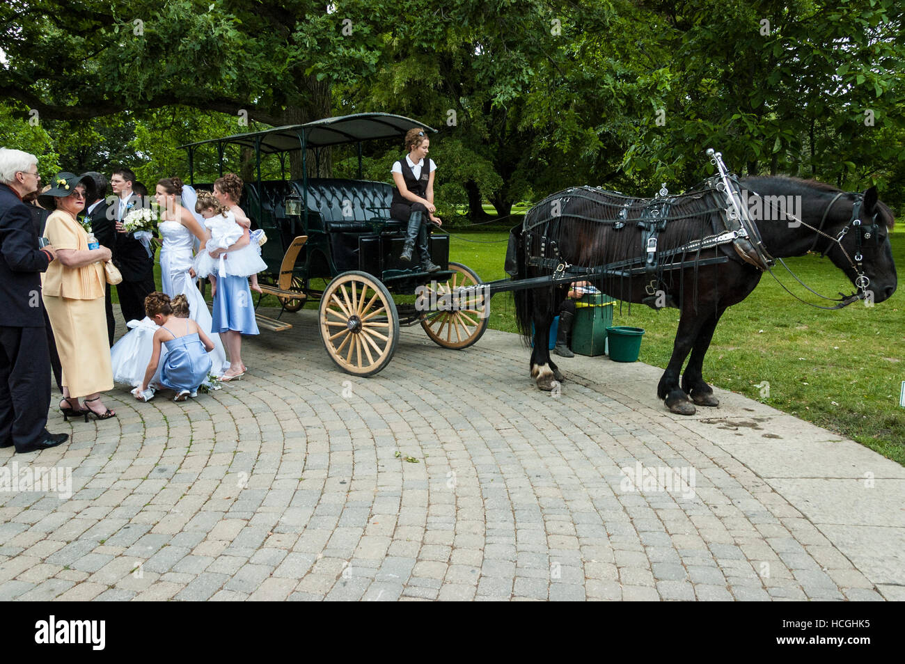 Horse Drawn Carriage Wedding
