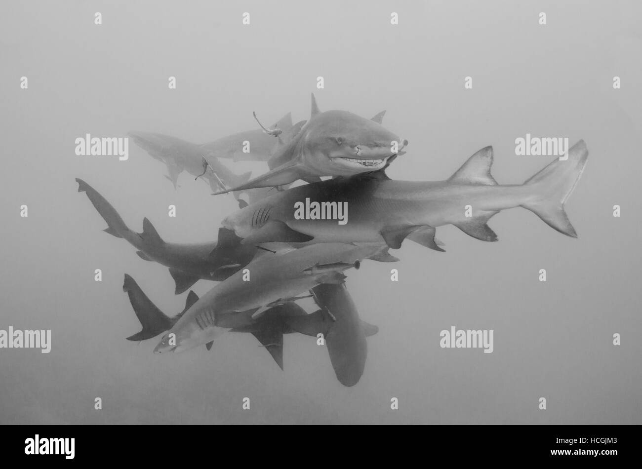 Underwater dancing hi-res stock photography and images - Alamy