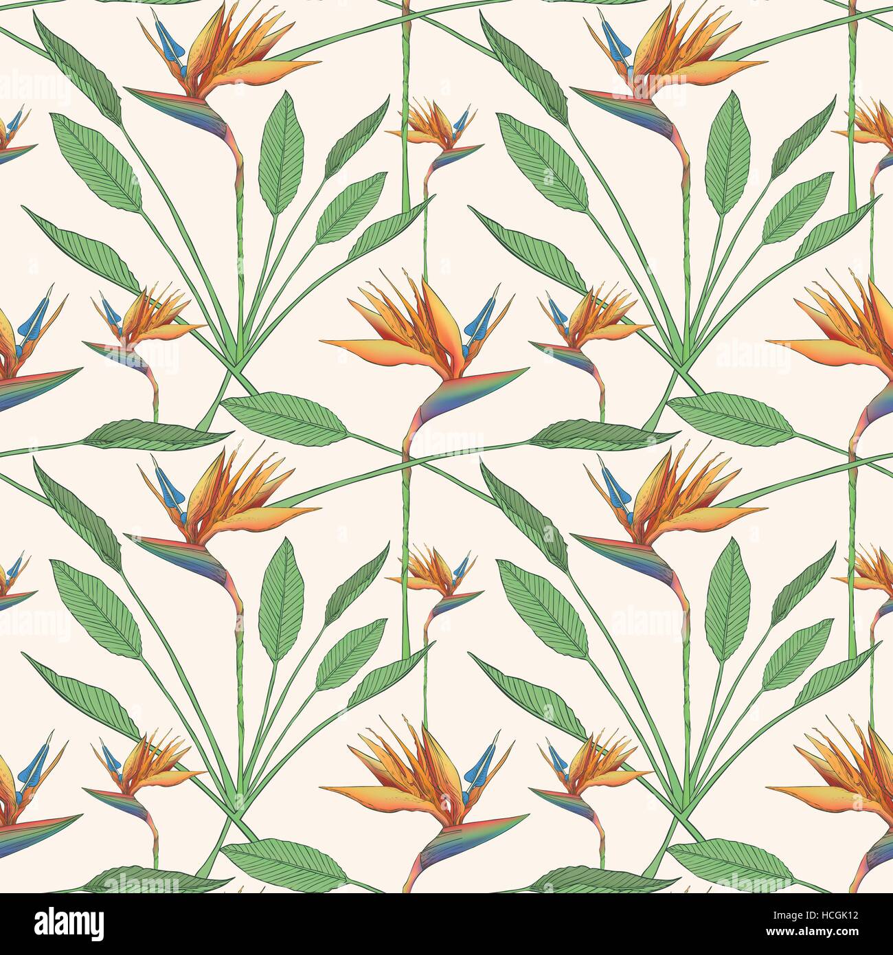 bird of the paradise flowers seamless pattern background Stock Vector ...