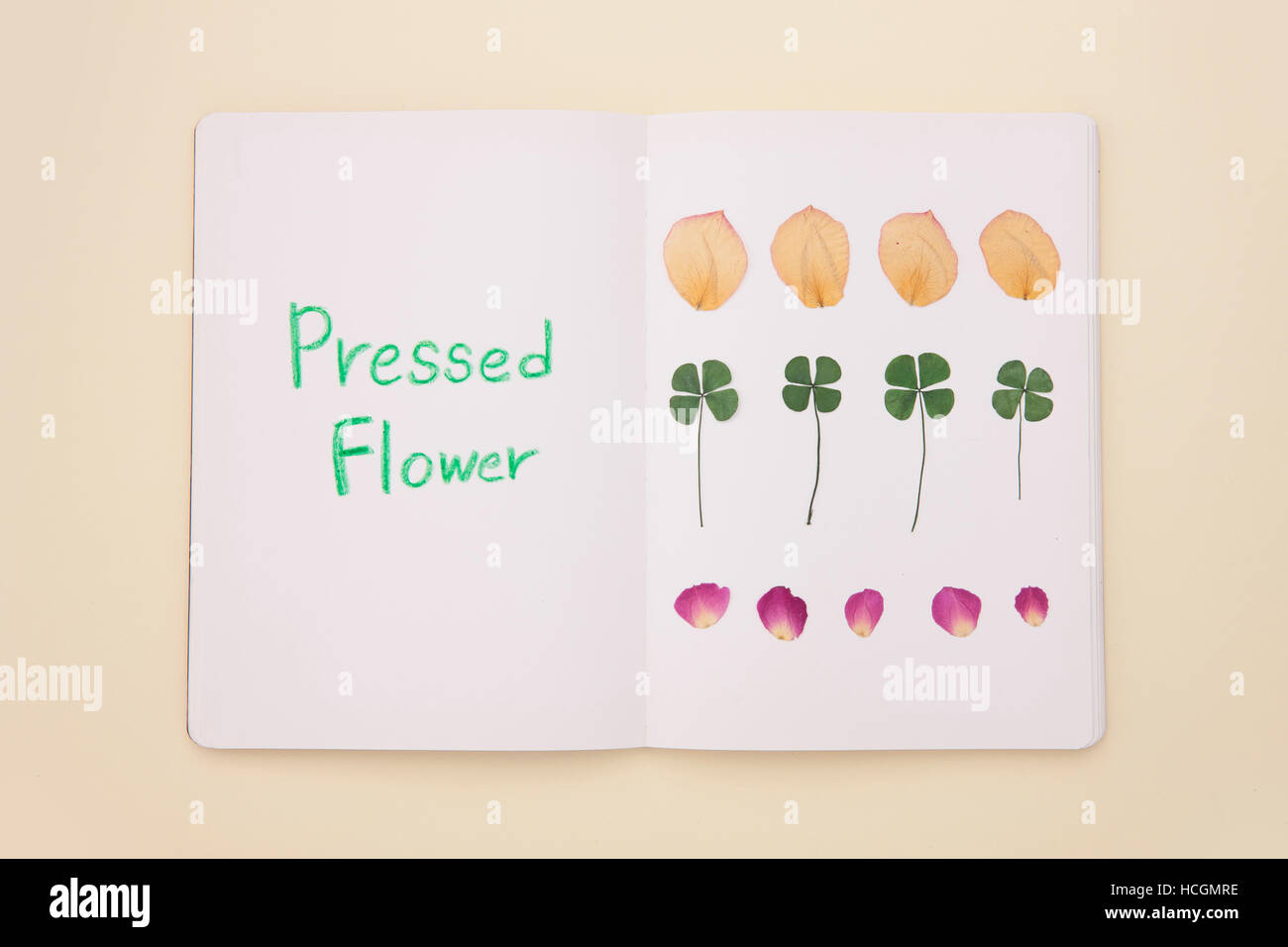 Pressed petals and four-leaf clover Stock Photo - Alamy