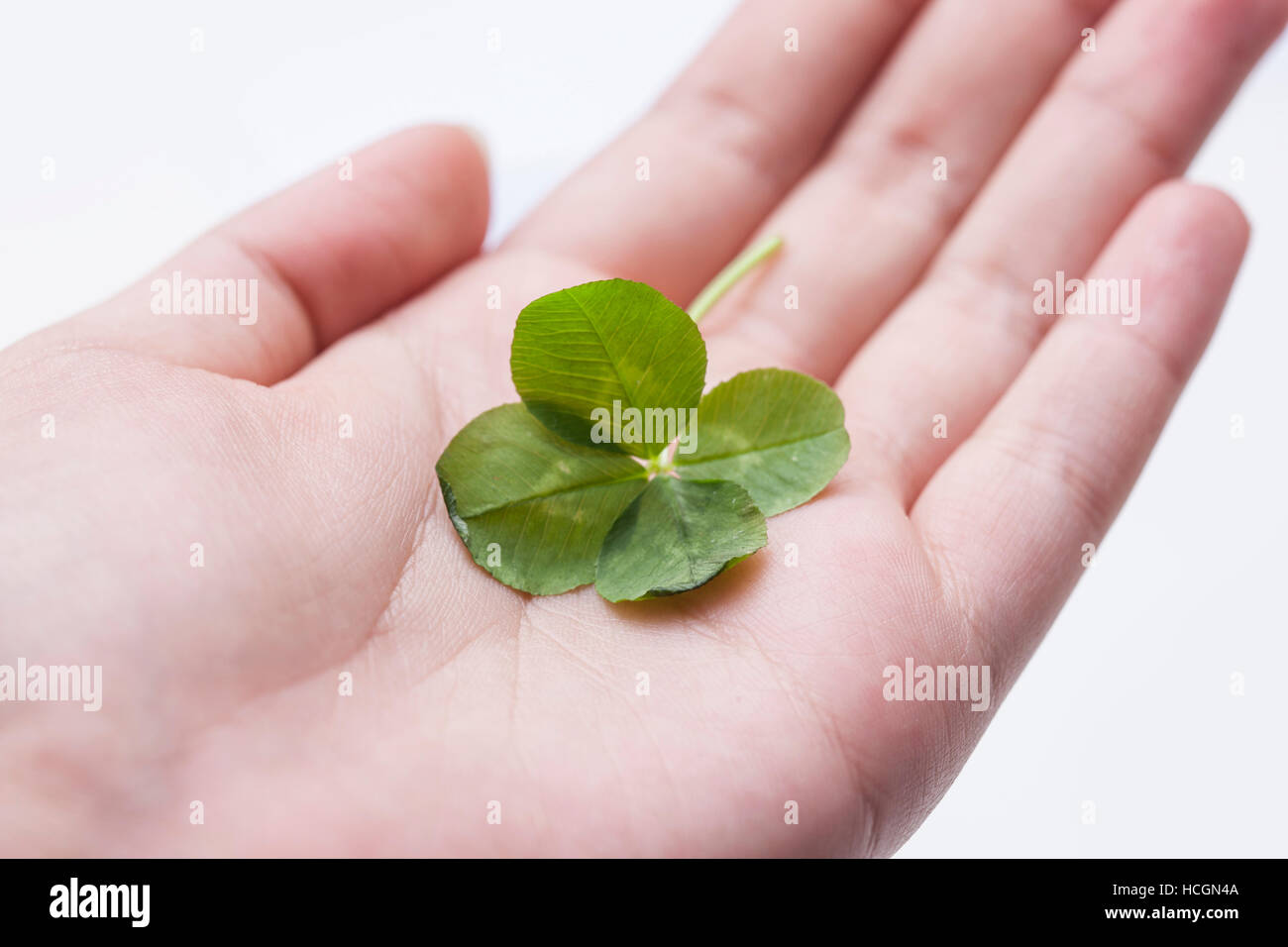 Hand with a green leaf hi-res stock photography and images - Alamy