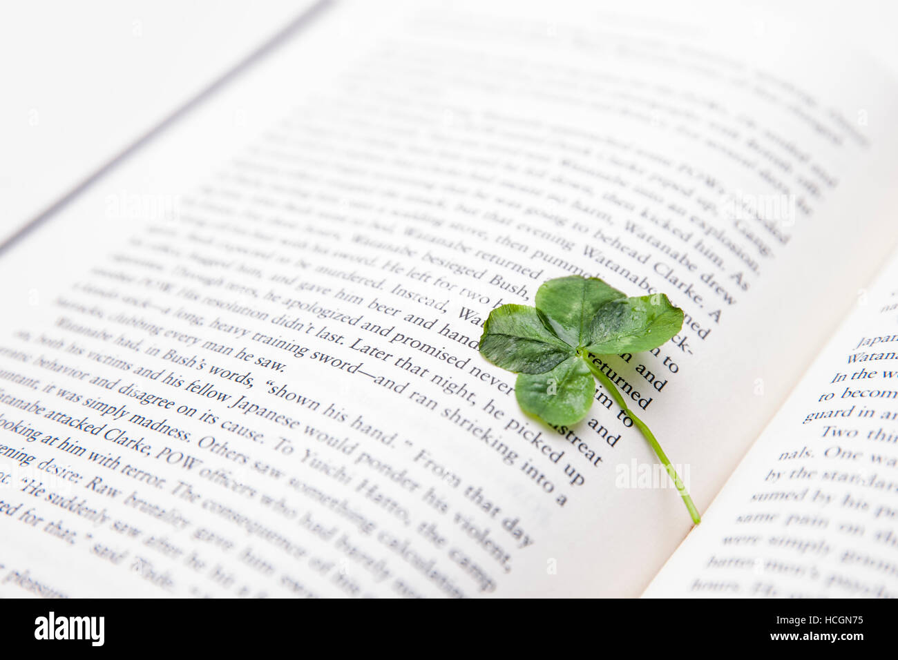 Four-leaf clover on book Stock Photo - Alamy