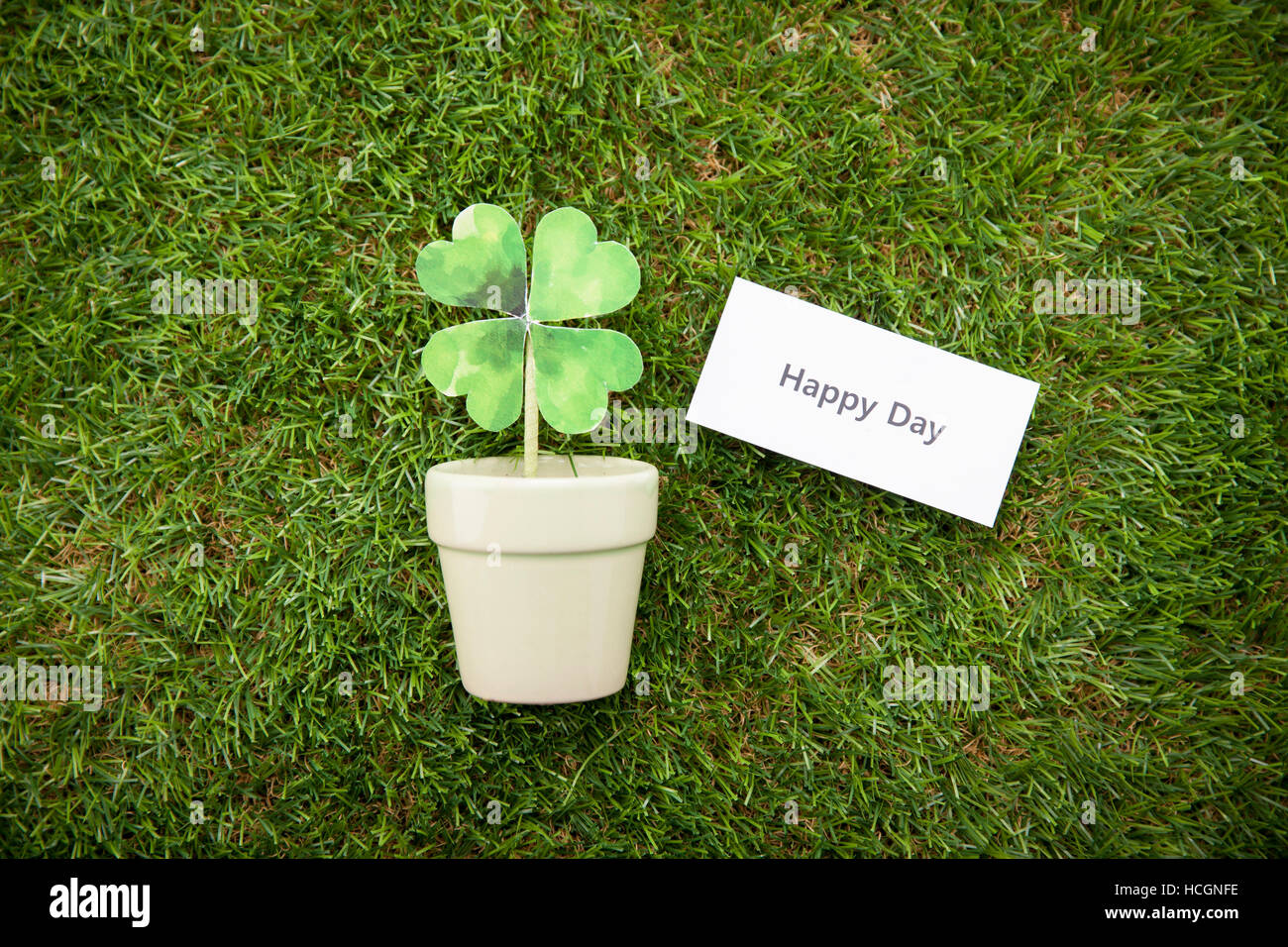 Four-leaf clover in a pot Stock Photo - Alamy