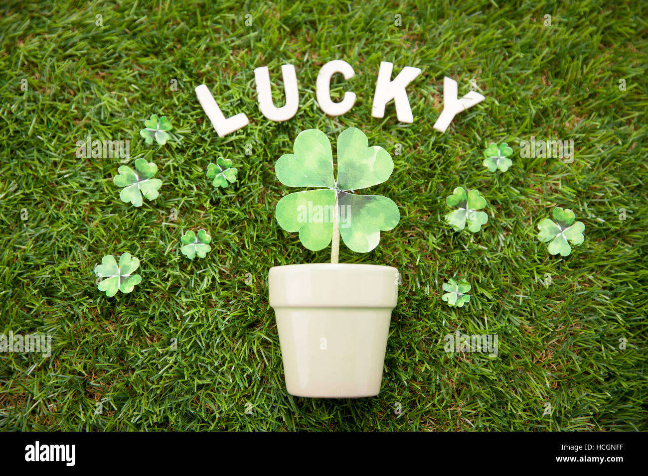 Lucky Four-leaf clovers Stock Photo - Alamy
