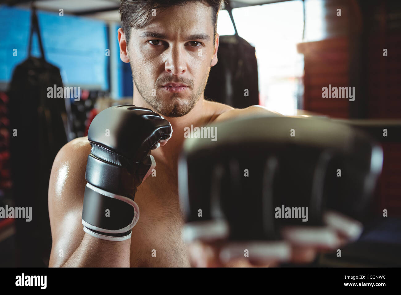 Boxer performing a boxing stance Stock Photo - Alamy