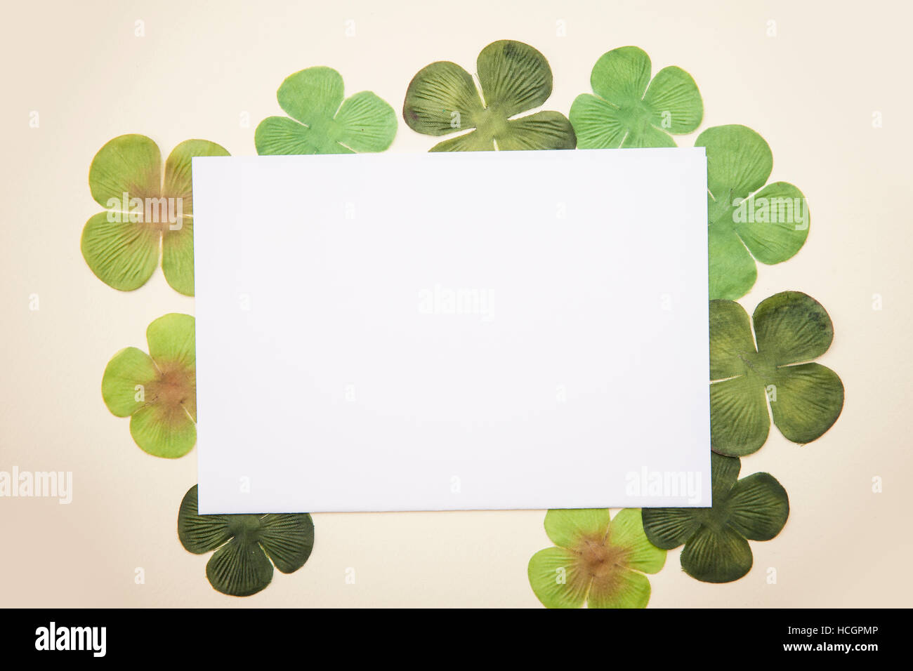 Card with four-leaf clovers Stock Photo - Alamy