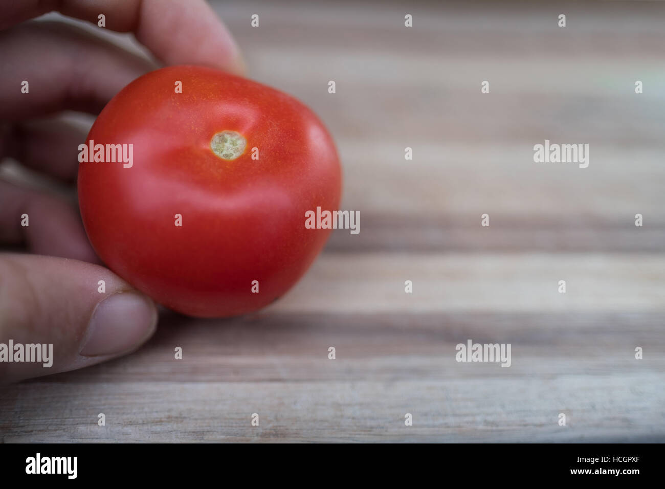 Close-up of hand holding tomato Stock Photo - Alamy
