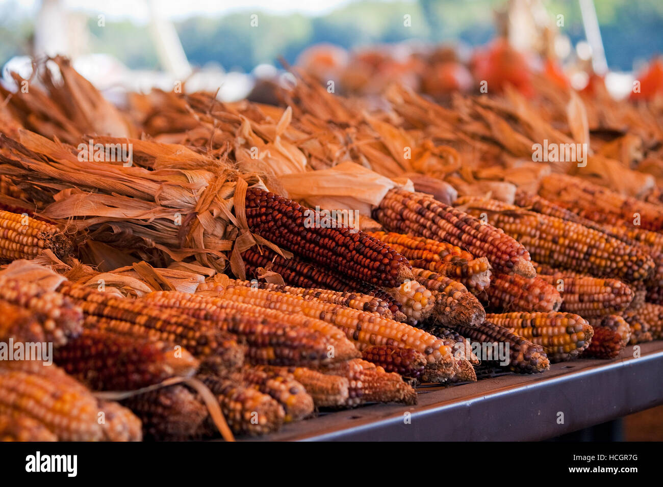 Indian corn on display hi-res stock photography and images - Alamy
