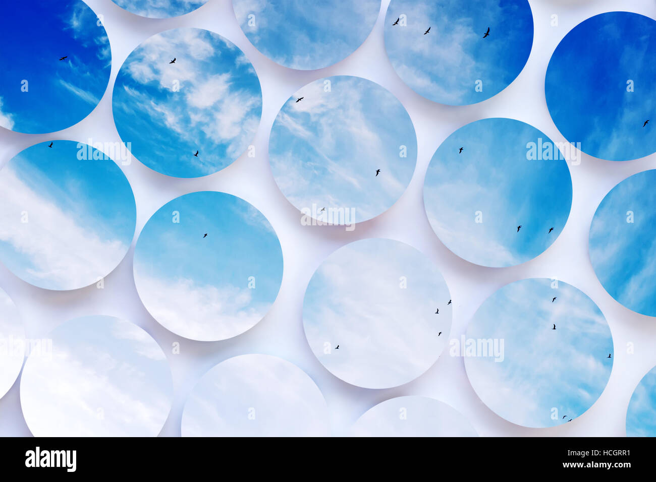 Circle Shapes In Nature