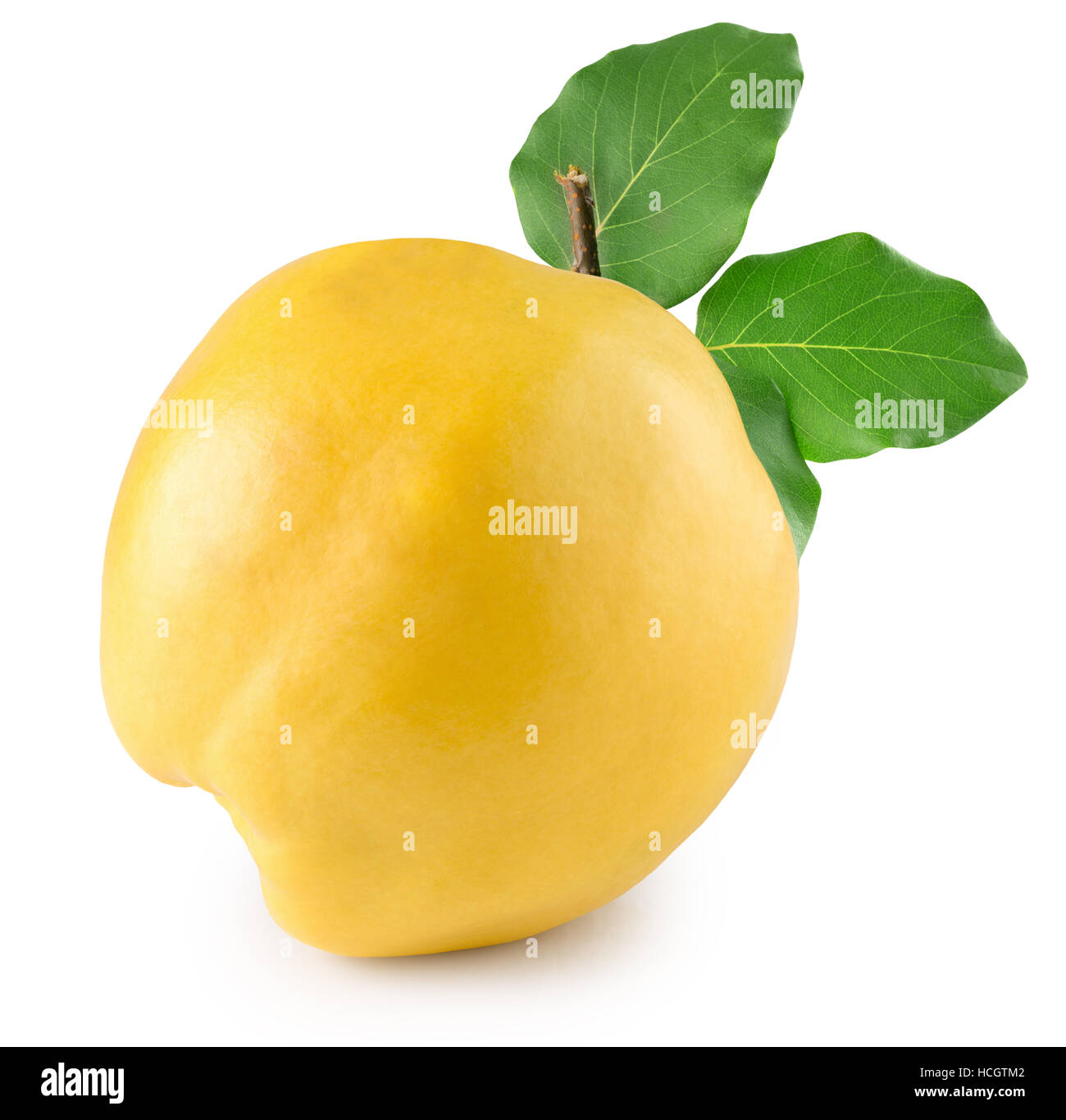 quince isolated on the white background Stock Photo - Alamy