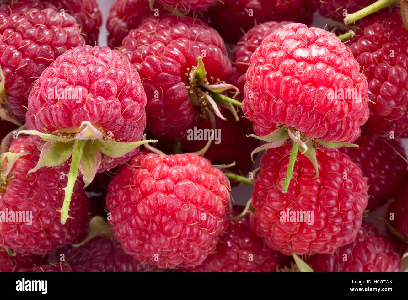 close up of raspberries Stock Photo - Alamy