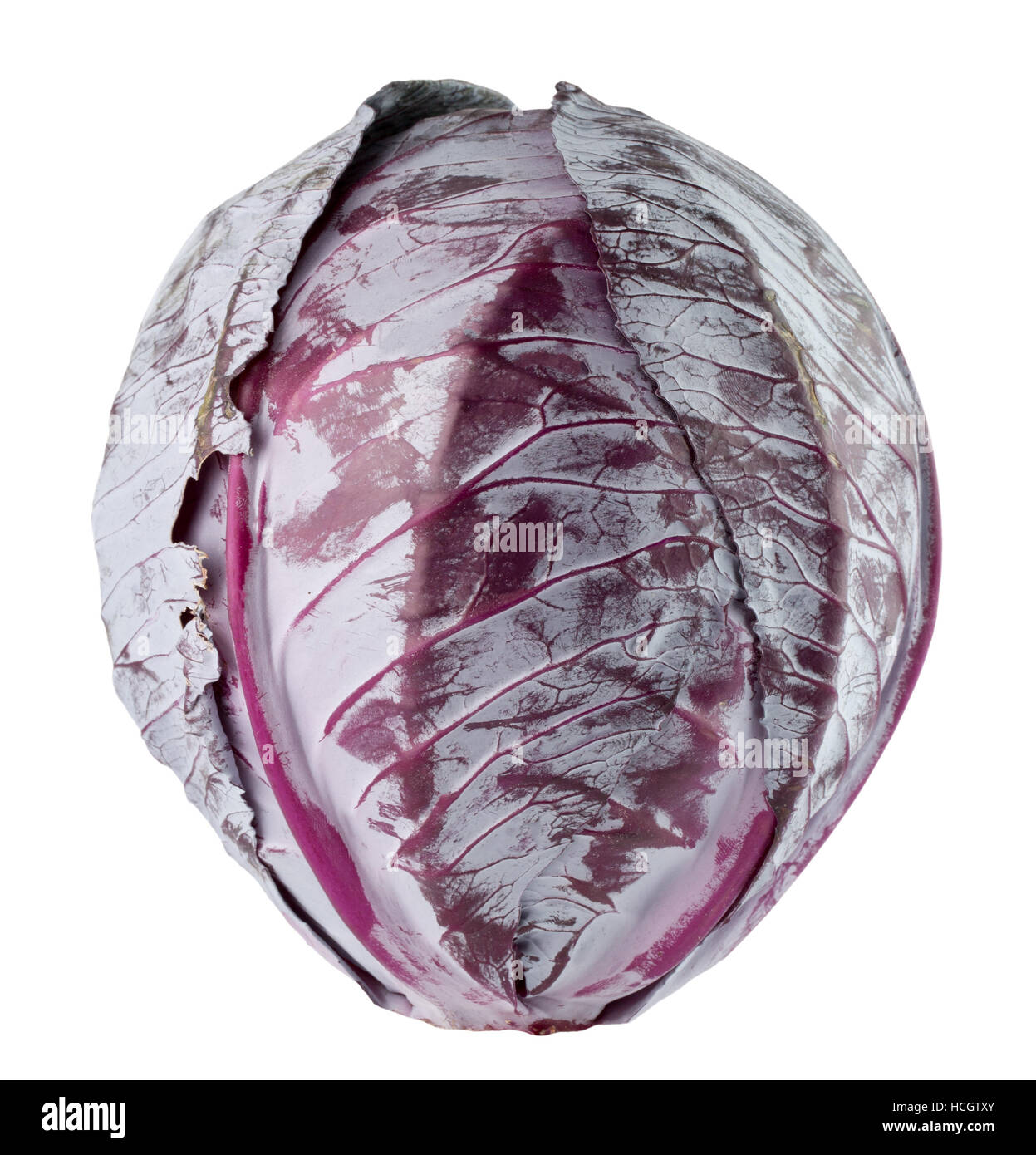 Purple cabbage hi-res stock photography and images - Alamy