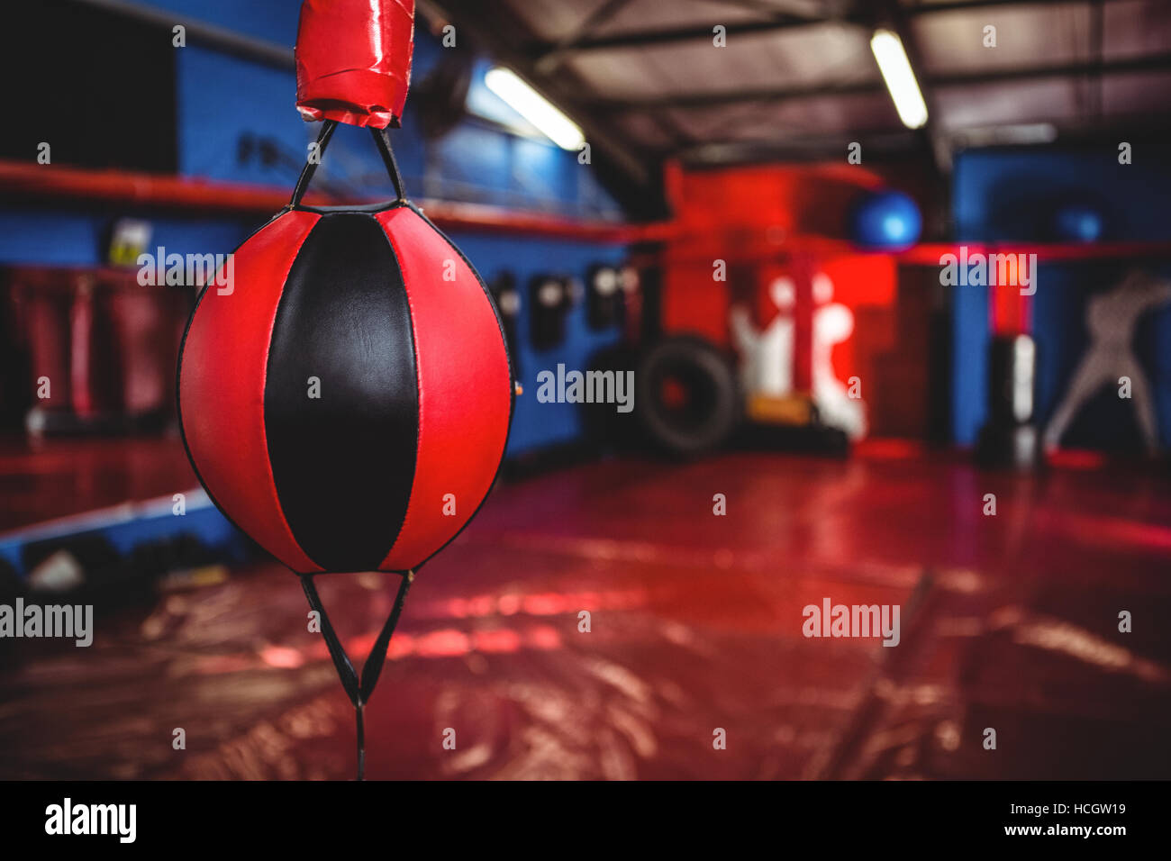 Close-up of speed boxing ball Stock Photo - Alamy
