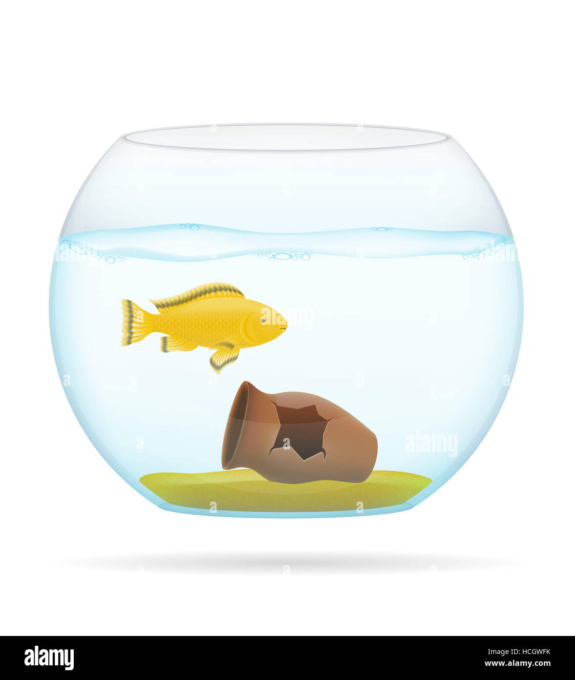 aquarium fish illustration isolated on white background Stock Photo - Alamy