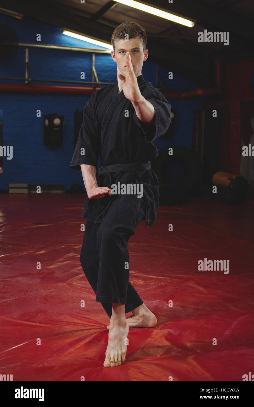 Karate player performing karate stance Stock Photo - Alamy