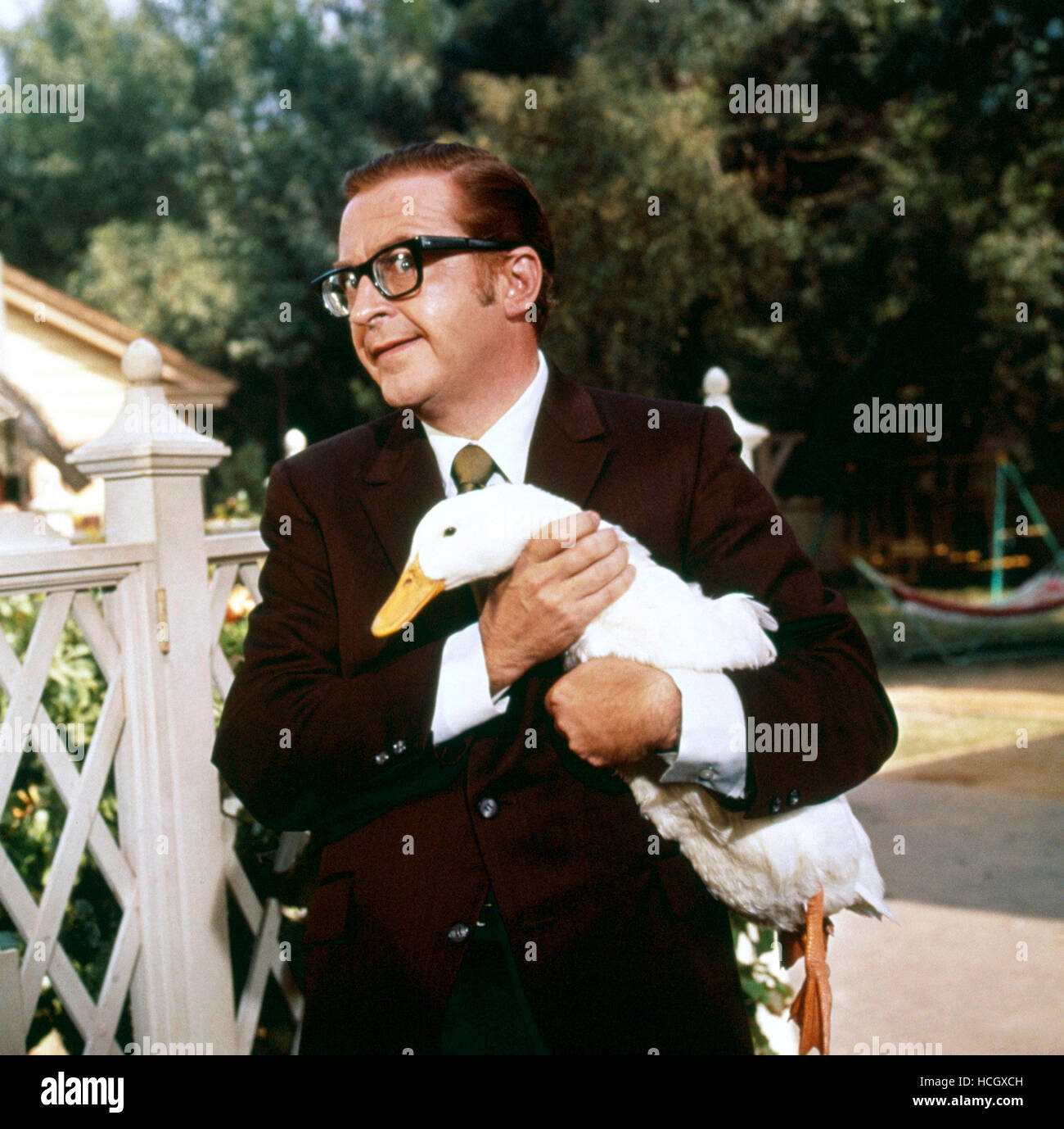 THE MILLION DOLLAR DUCK, Joe Flynn, 1971 Stock Photo - Alamy