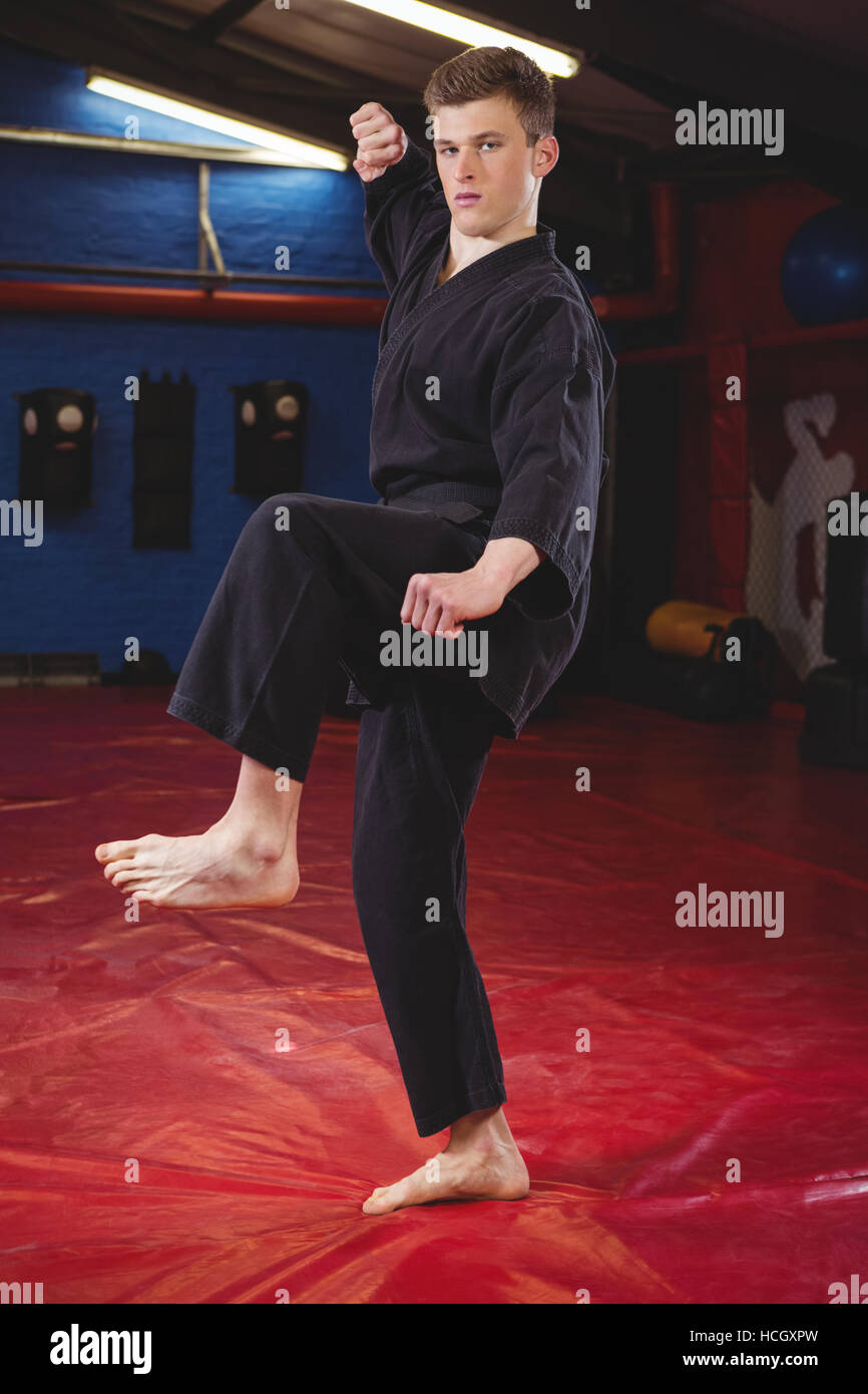 Karate player performing karate stance Stock Photo - Alamy