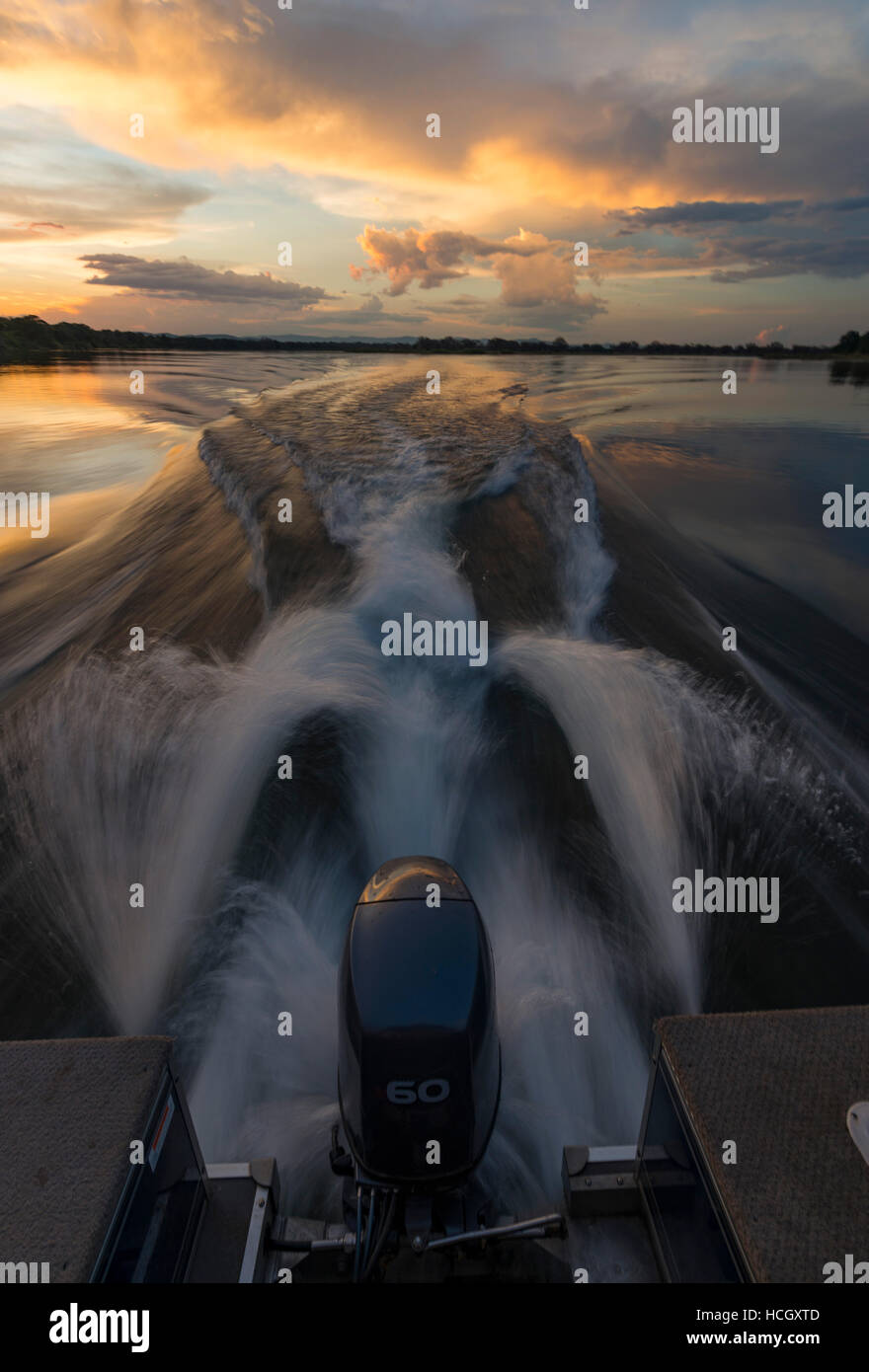 Zambezi River Zimbabwe boat motor wake fast sunset Stock Photo - Alamy
