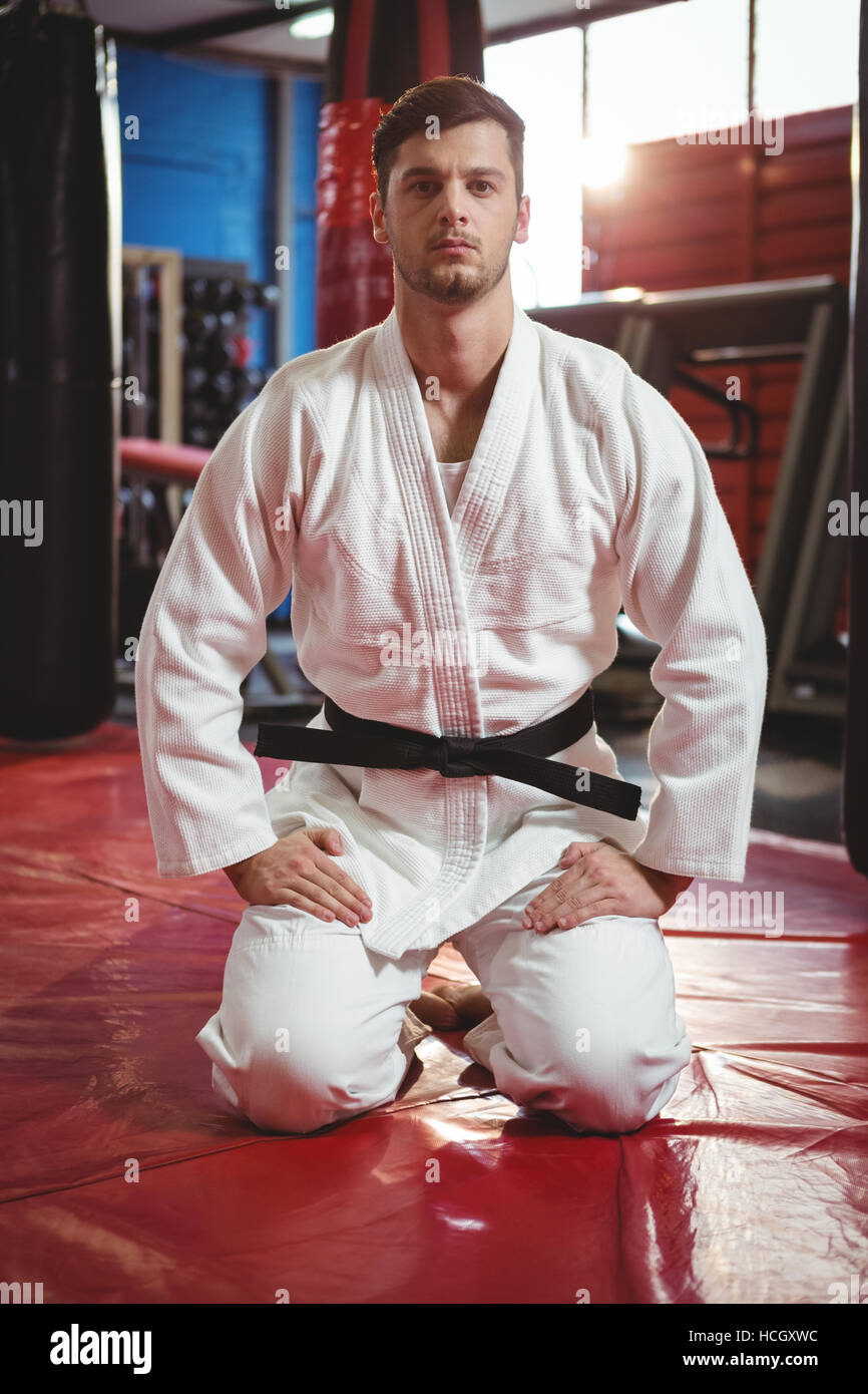 Karate player performing karate stance Stock Photo - Alamy