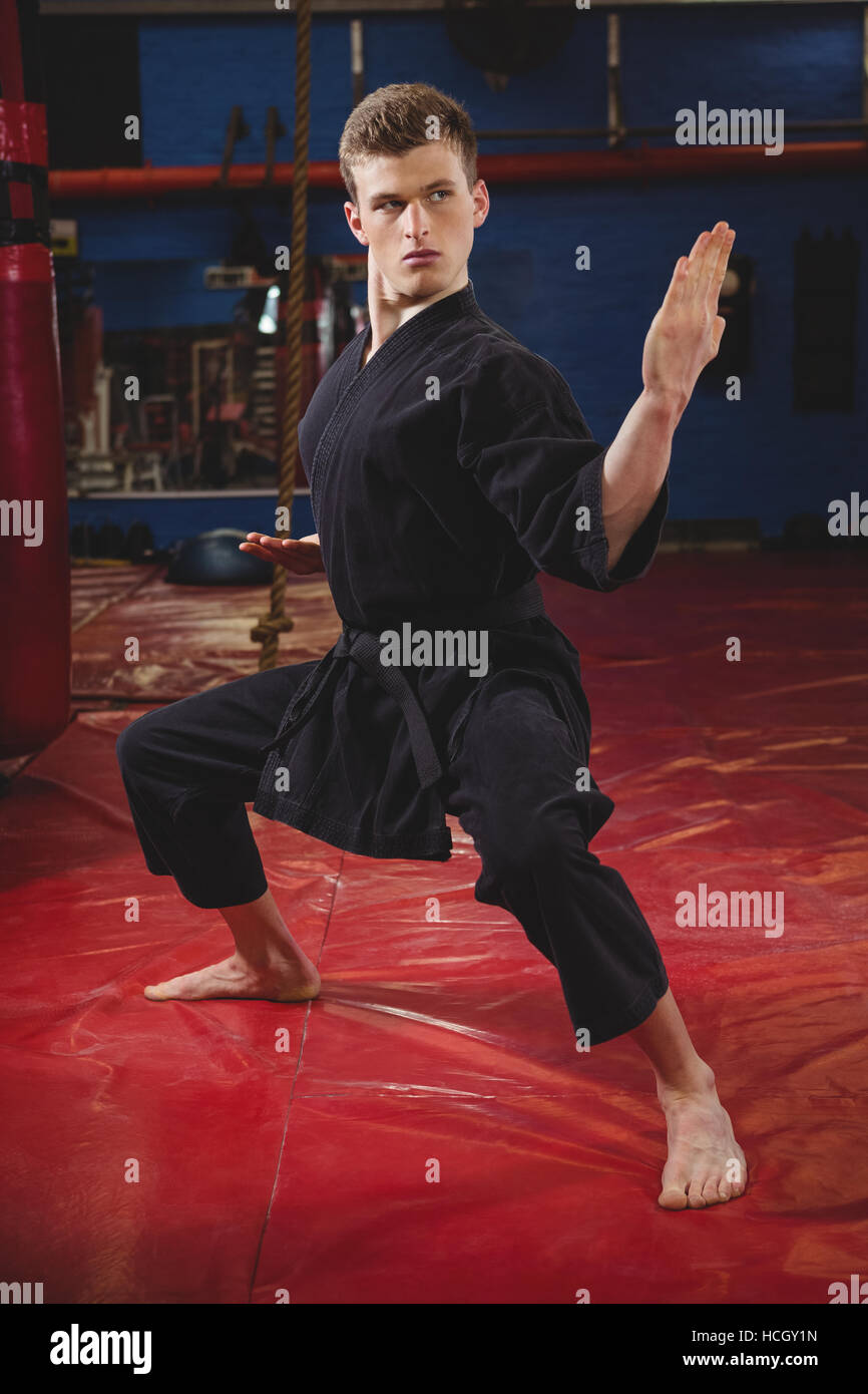 Karate player performing karate stance Stock Photo - Alamy