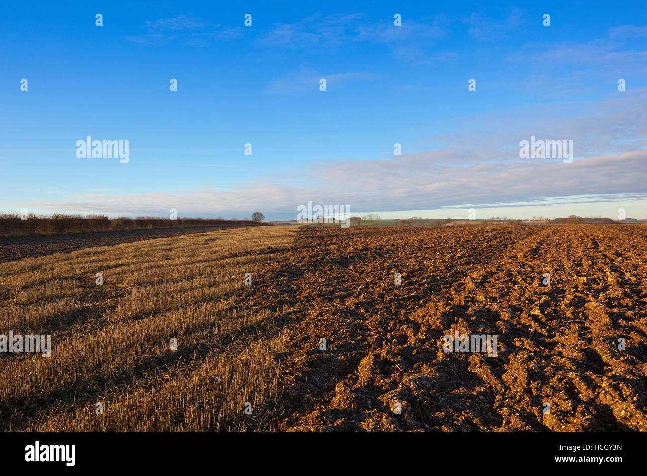 Patterns and textures of a partially plowed stubble field on the ...