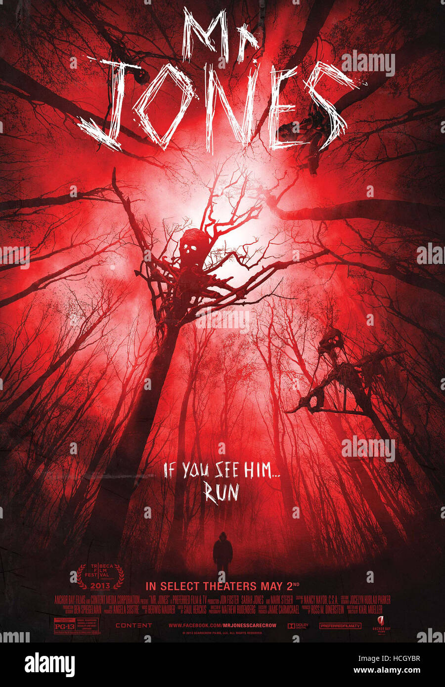 MR. JONES, US poster art, 2013. ©Anchor Bay Entertainment/Courtesy ...