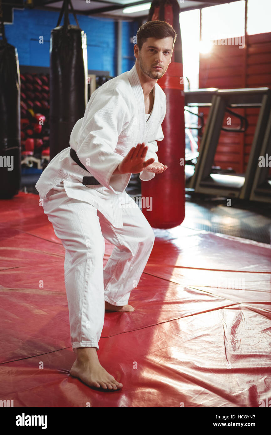 Karate player performing karate stance Stock Photo - Alamy
