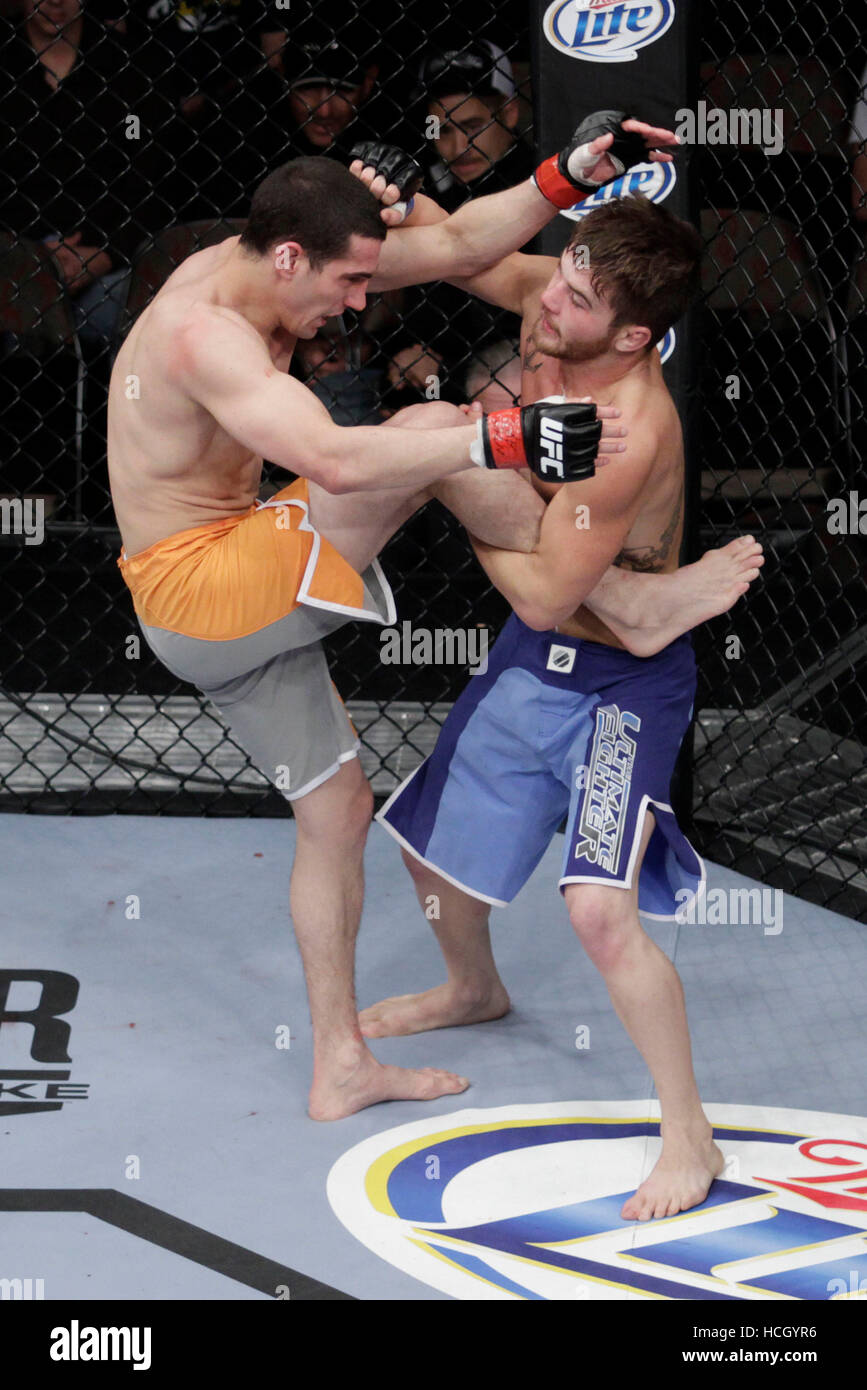 Roland Delorme, left, fights Josh Ferguson at The Ultimate Fighter 14 ...