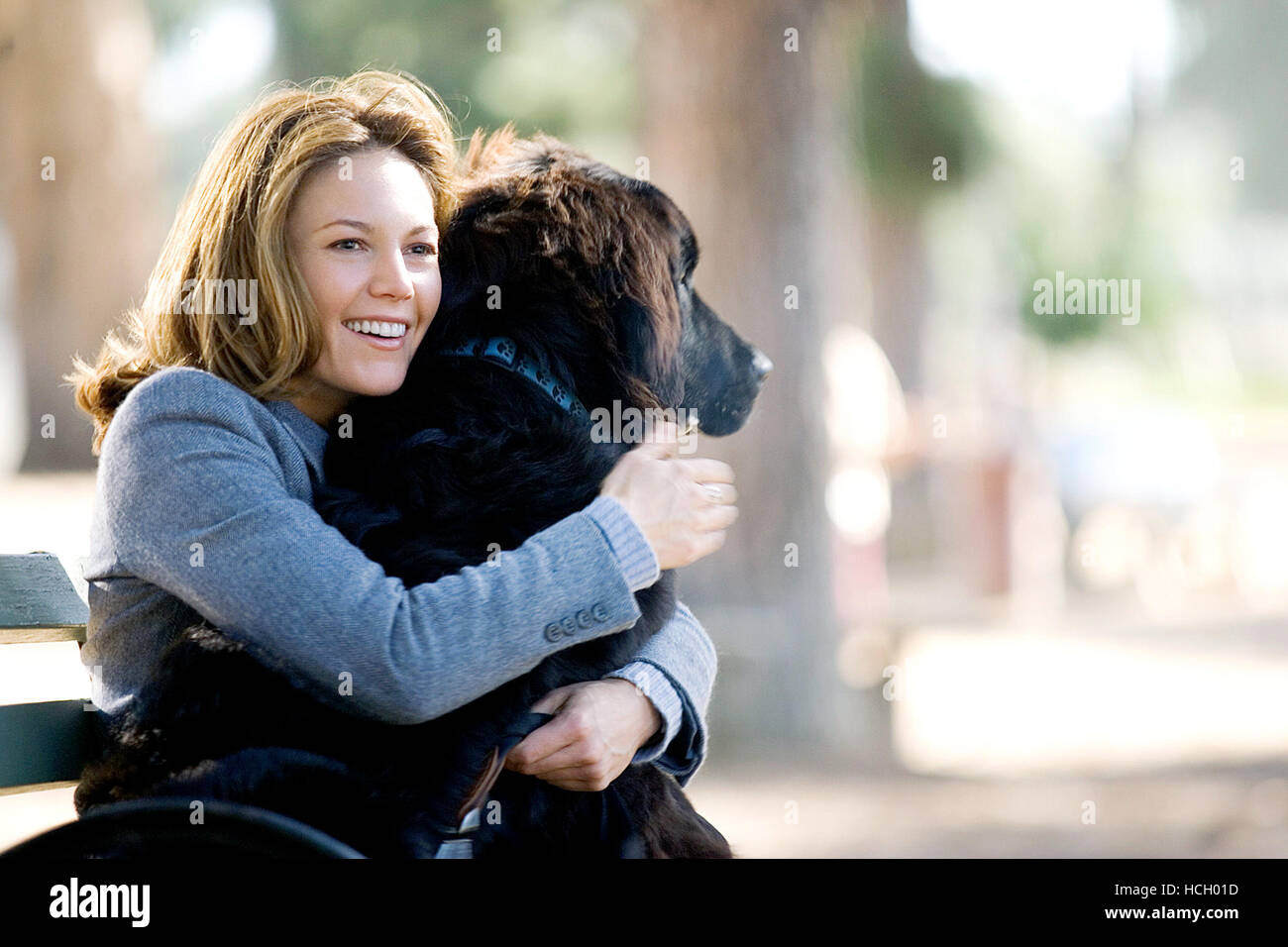 MUST LOVE DOGS, Diane Lane, 2005, (c) Warner Brothers/courtesy Everett ...