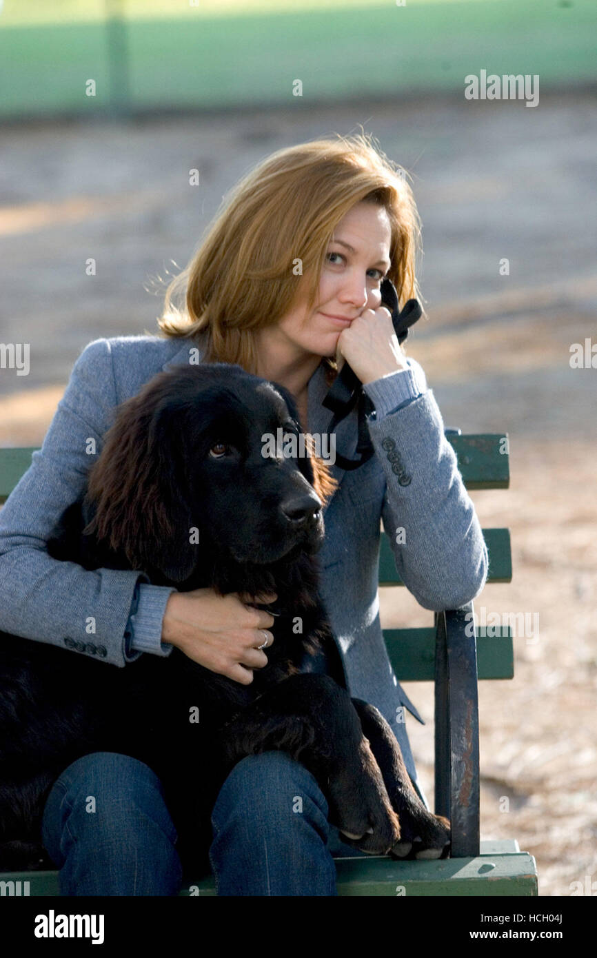 MUST LOVE DOGS, Diane Lane, 2005, (c) Warner Brothers/courtesy Everett ...