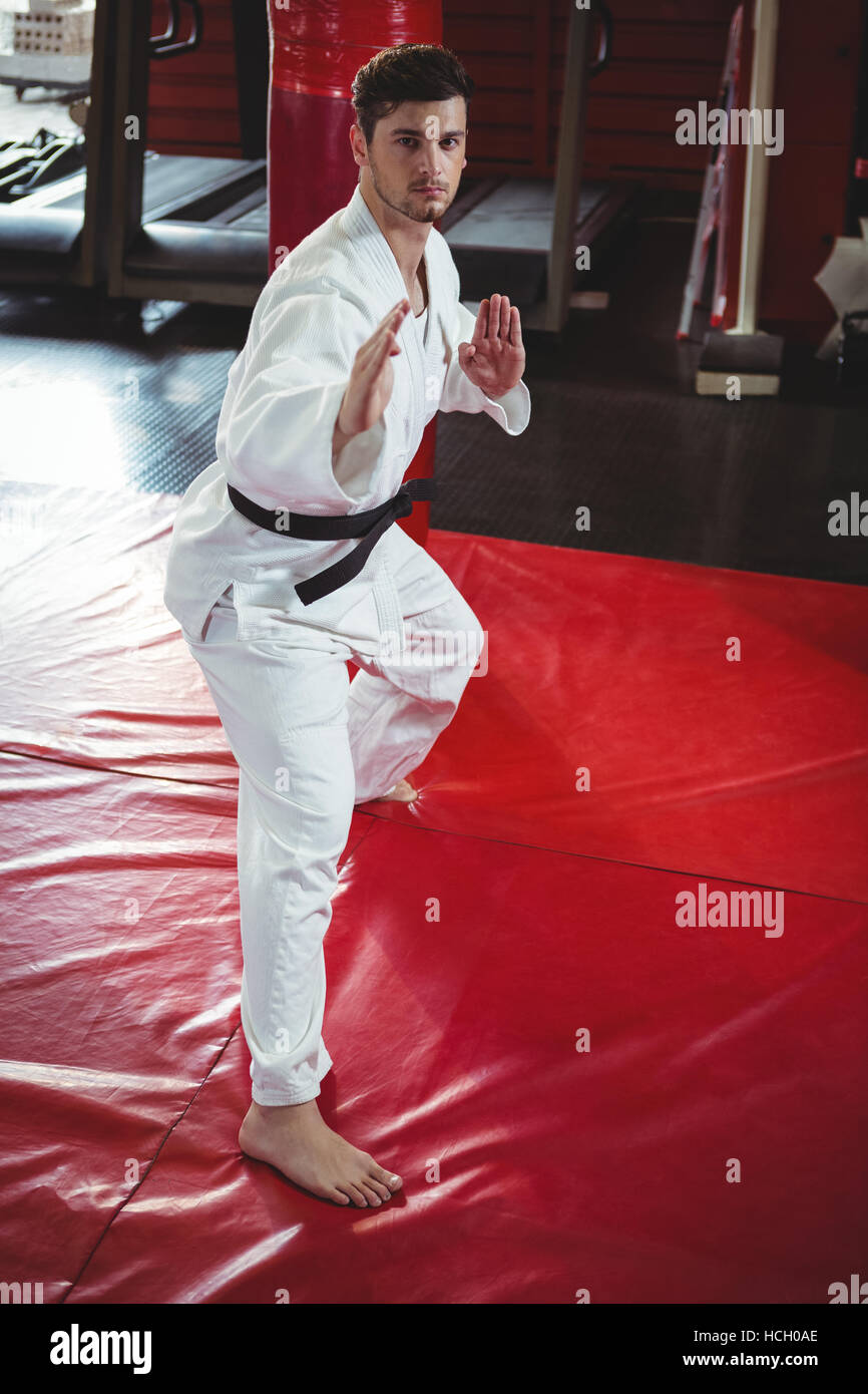Karate player performing karate stance Stock Photo - Alamy