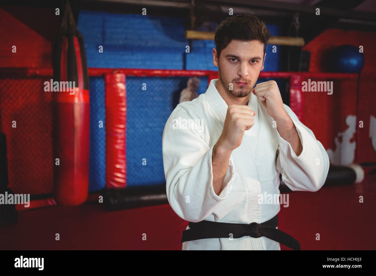 Karate player performing karate stance Stock Photo - Alamy