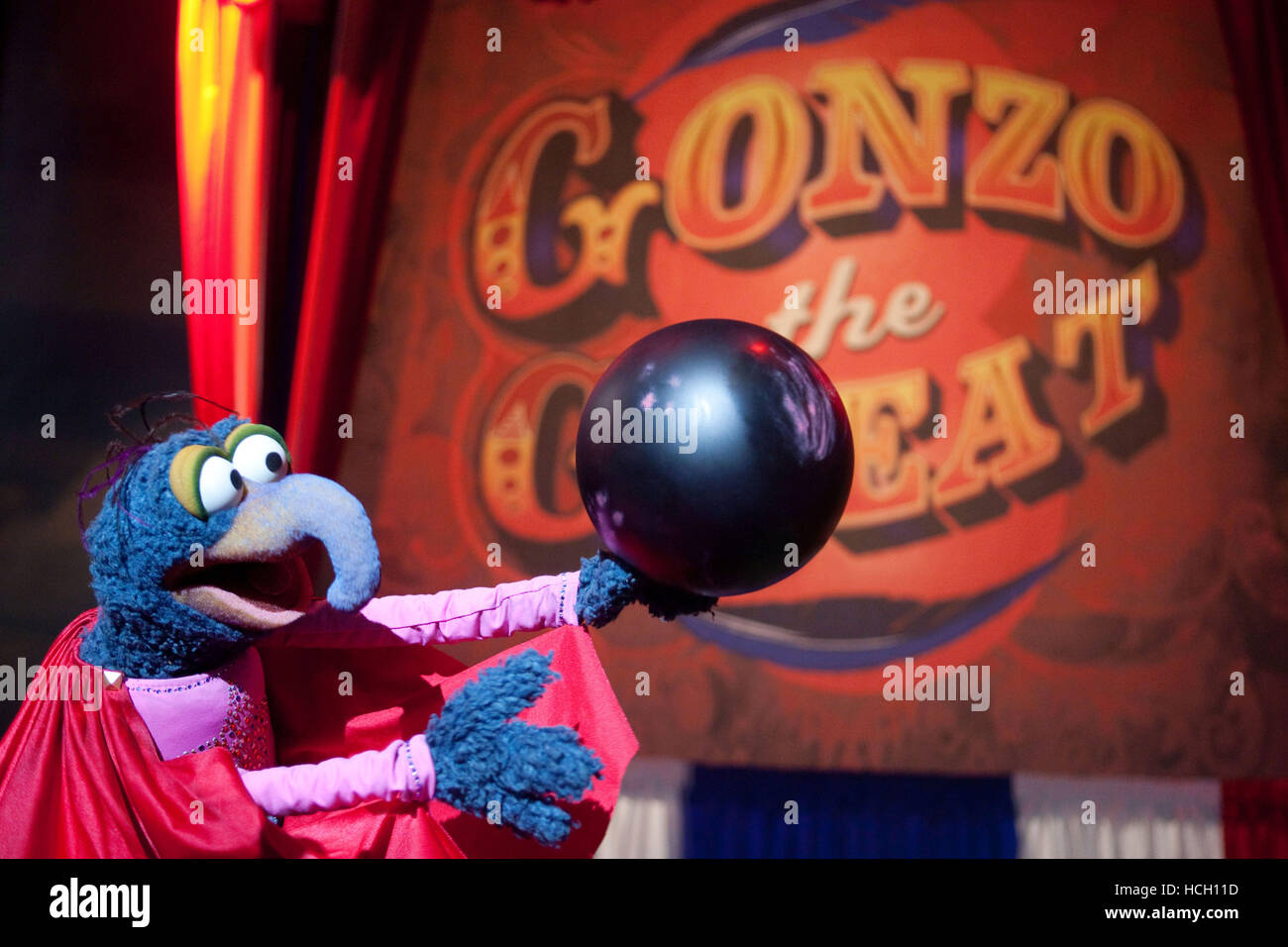 THE MUPPETS, Gonzo, 2011, ph: Scott Garfield/©Walt Disney Pictures ...