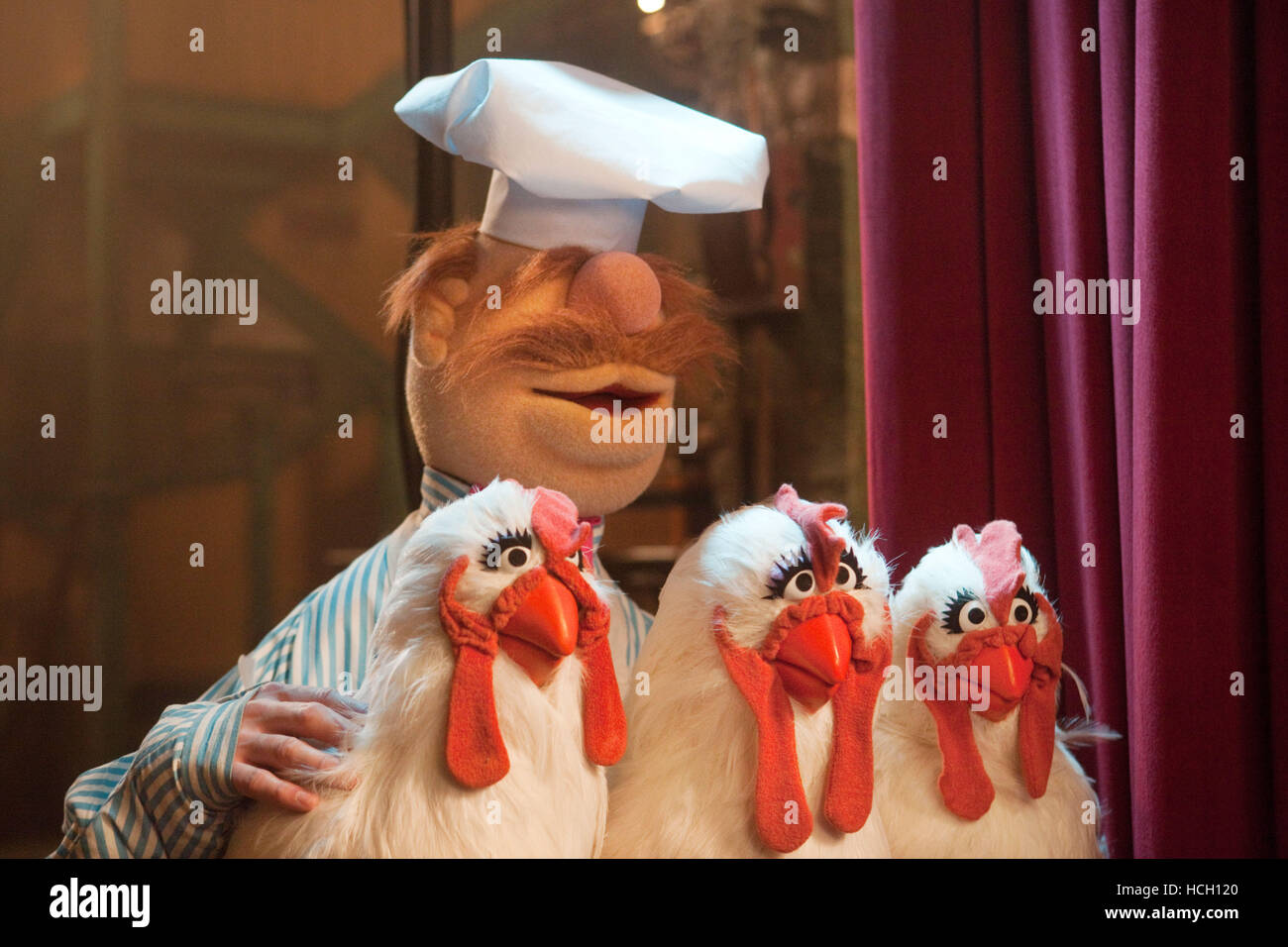 THE MUPPETS, rear: Swedish Chef with chickens, 2011, ph: Scott Garfield ...
