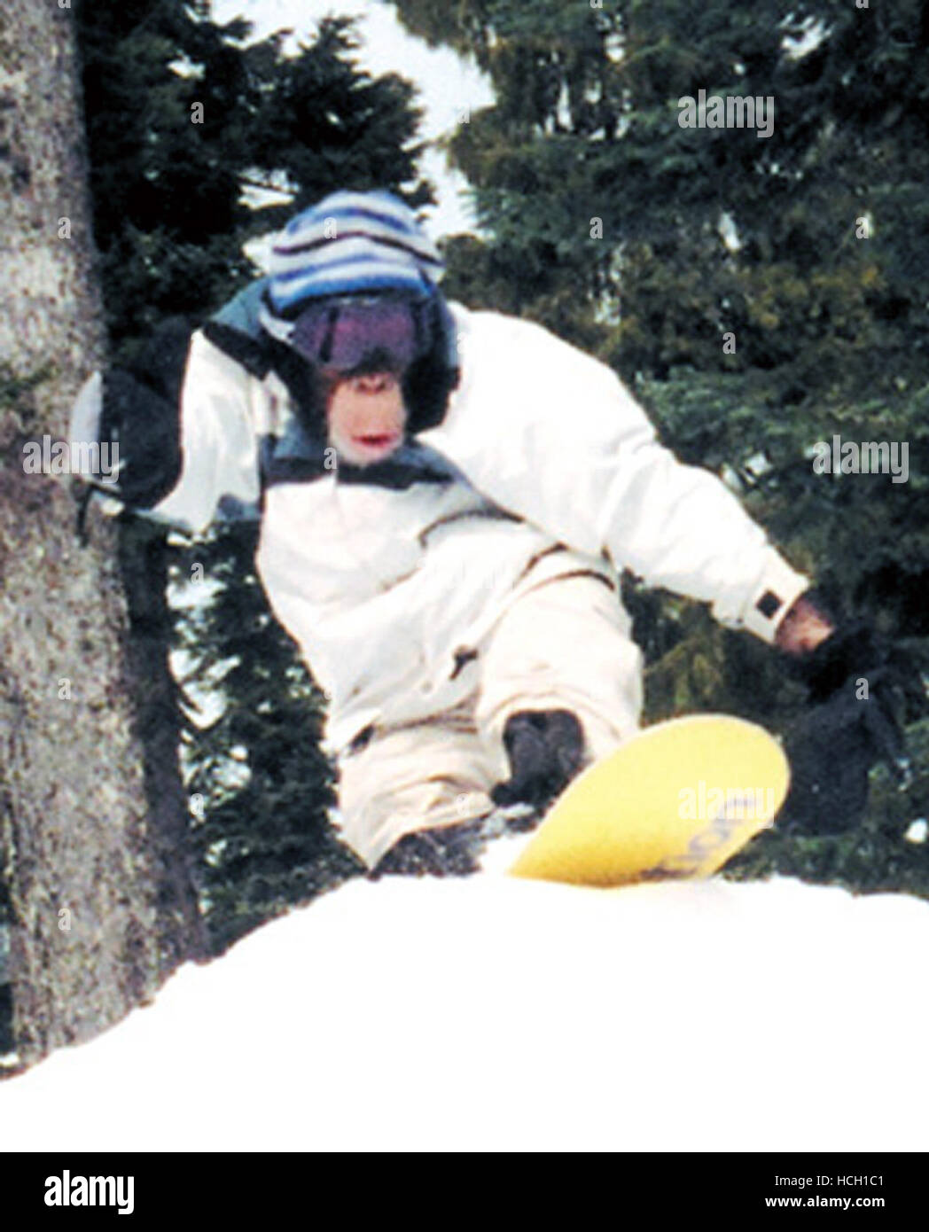 MVP 3: MOST VALUABLE PRIMATE, 2003. (c) Keystone Family Pictures ...