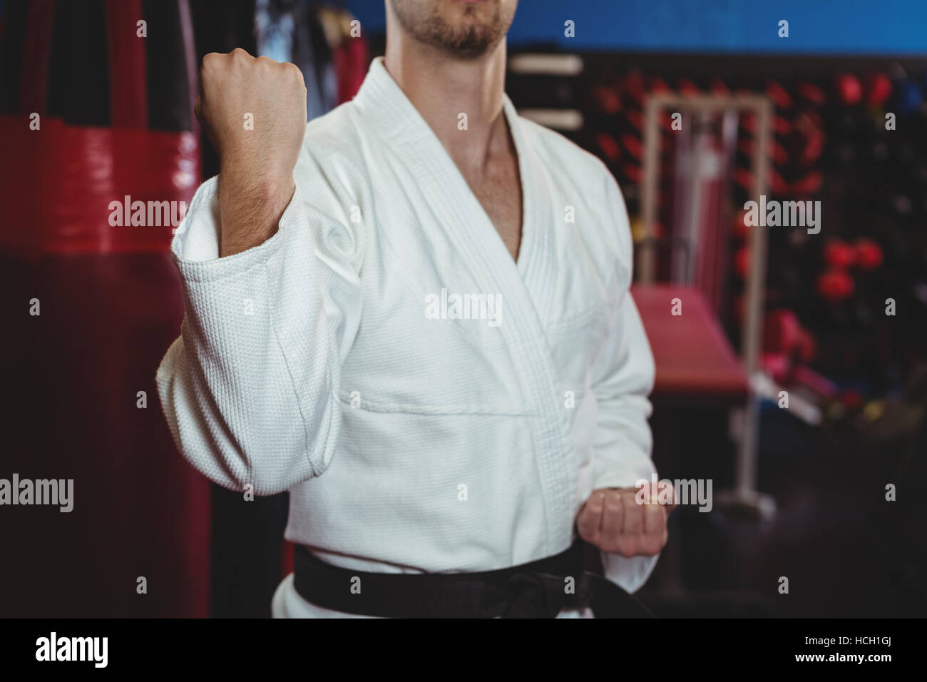 Karate player performing karate stance Stock Photo - Alamy