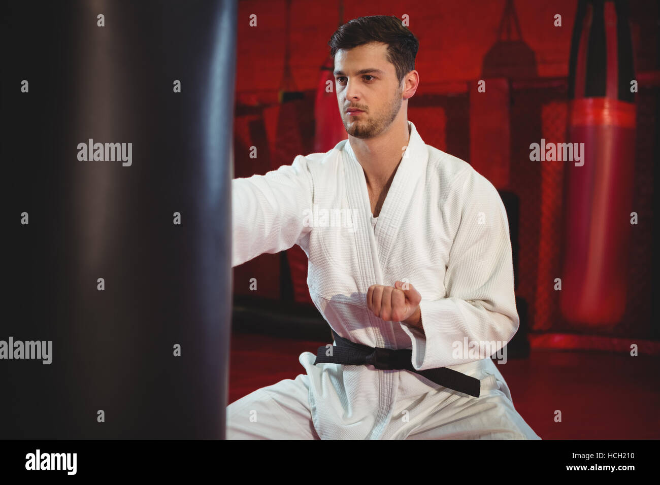 Karate player performing karate stance Stock Photo - Alamy
