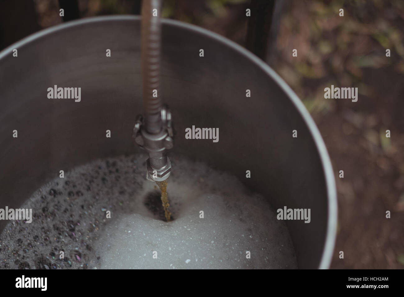 Pipe wort hi-res stock photography and images - Alamy