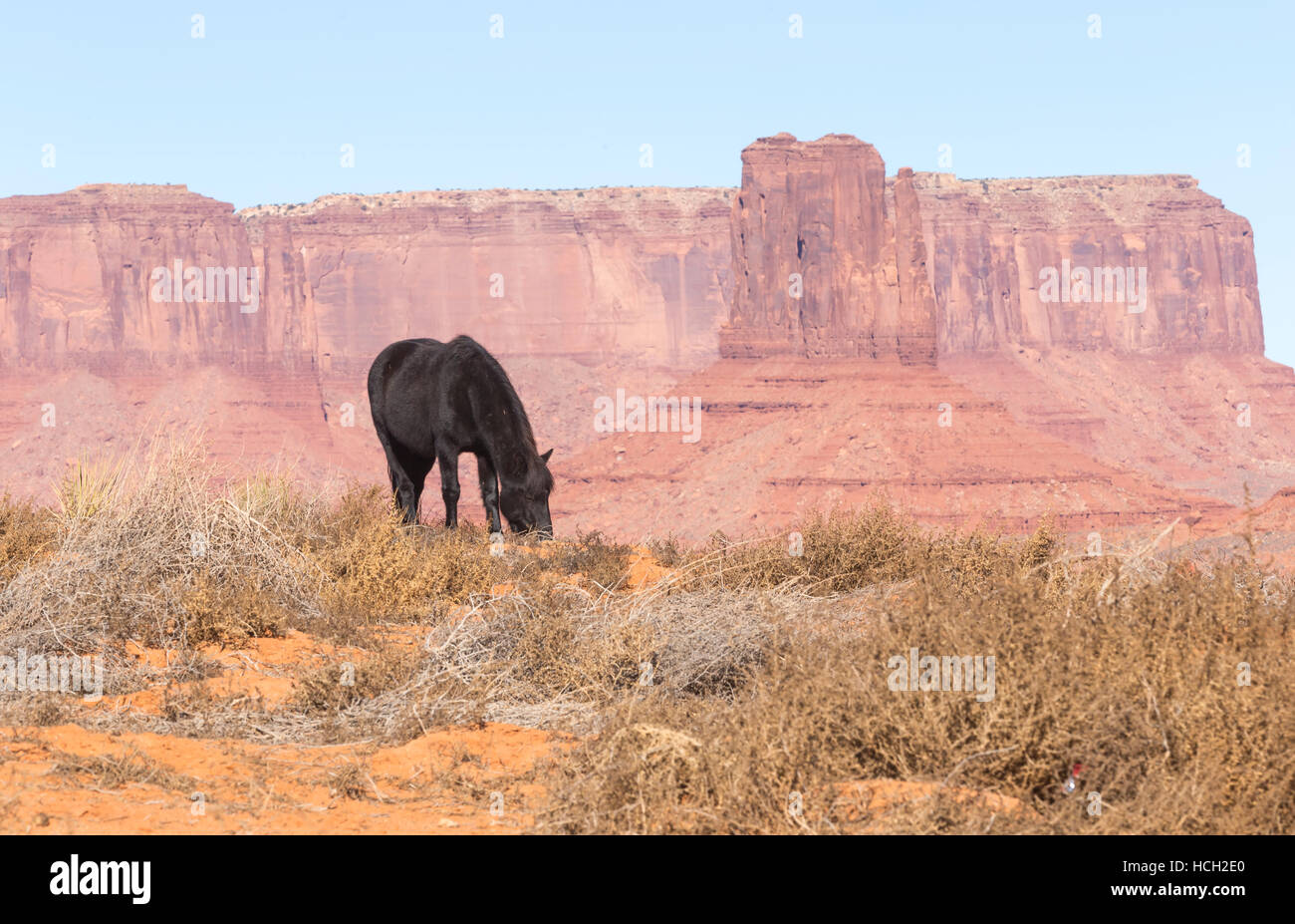 Monument Valley National Park in Arizona, USA Stock Photo - Alamy