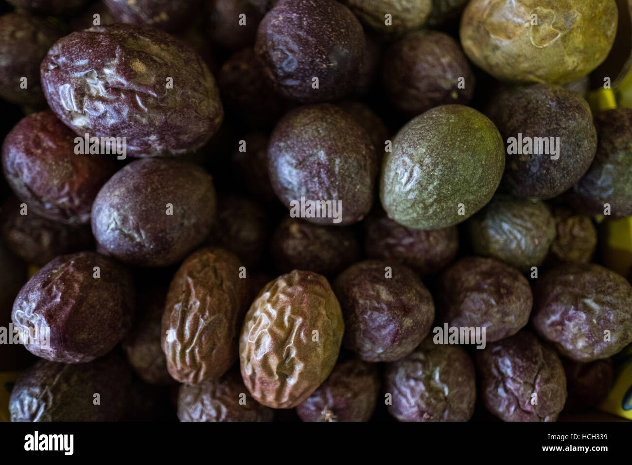 Sapindus hi-res stock photography and images - Alamy