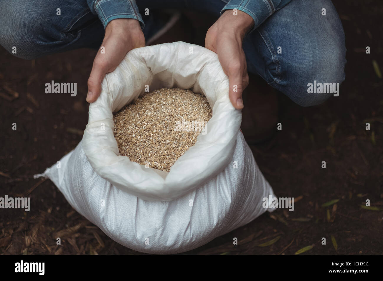 Sack of barley to prepare beer Stock Photo - Alamy
