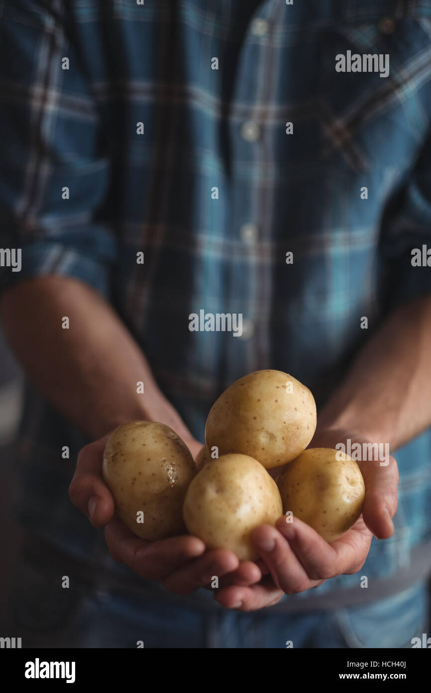 Hand holding potato hi-res stock photography and images - Alamy