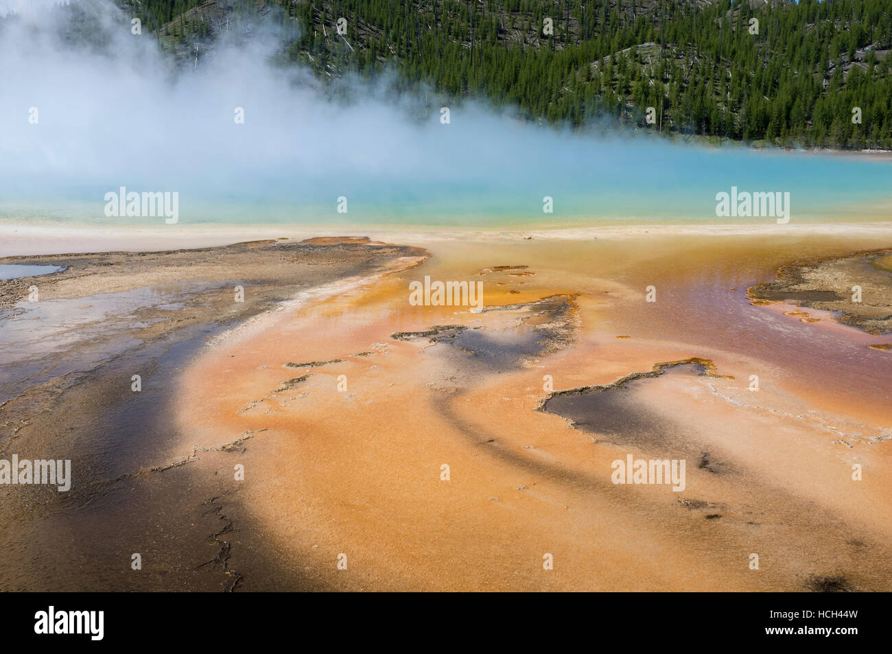Teton County, Wyoming: Blue steam rising from Grand Prismatic Spring at ...