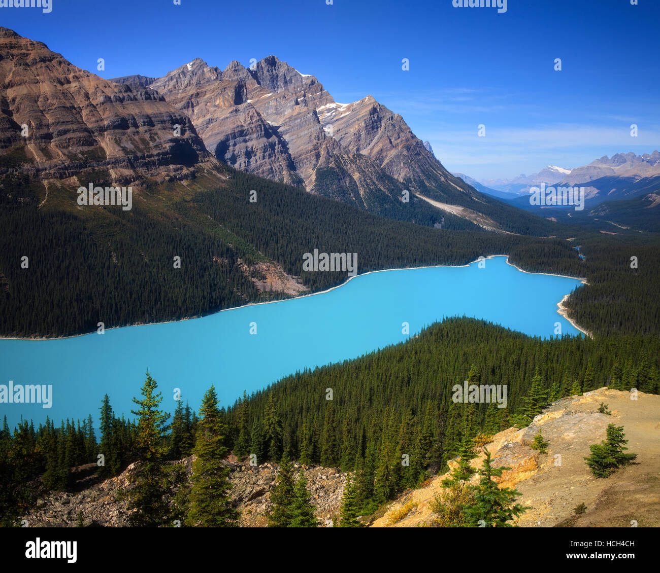 Peyto is a glaciated lake in Banff Alberta Canada. It gets it's color ...