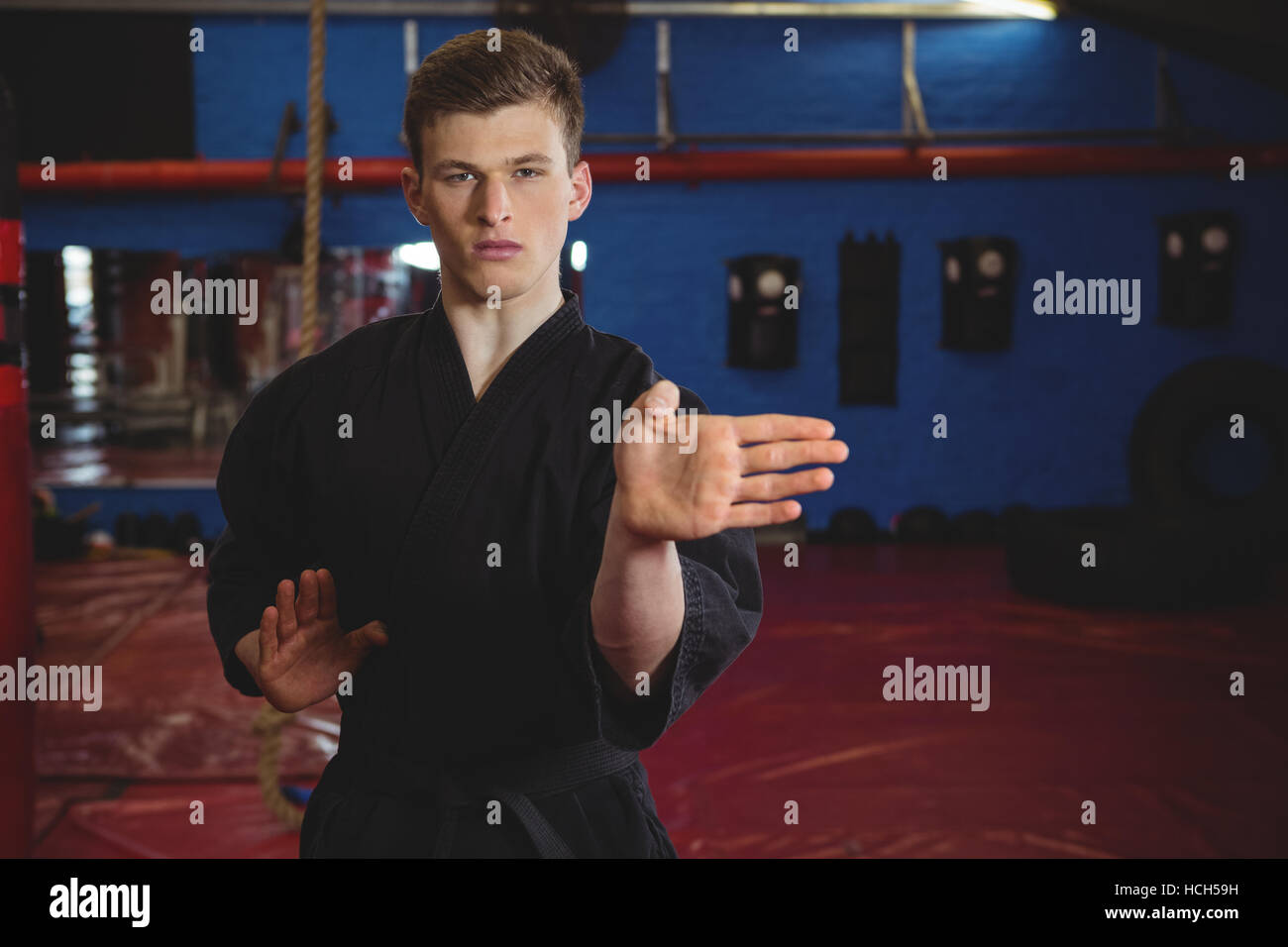 Karate player performing karate stance Stock Photo - Alamy
