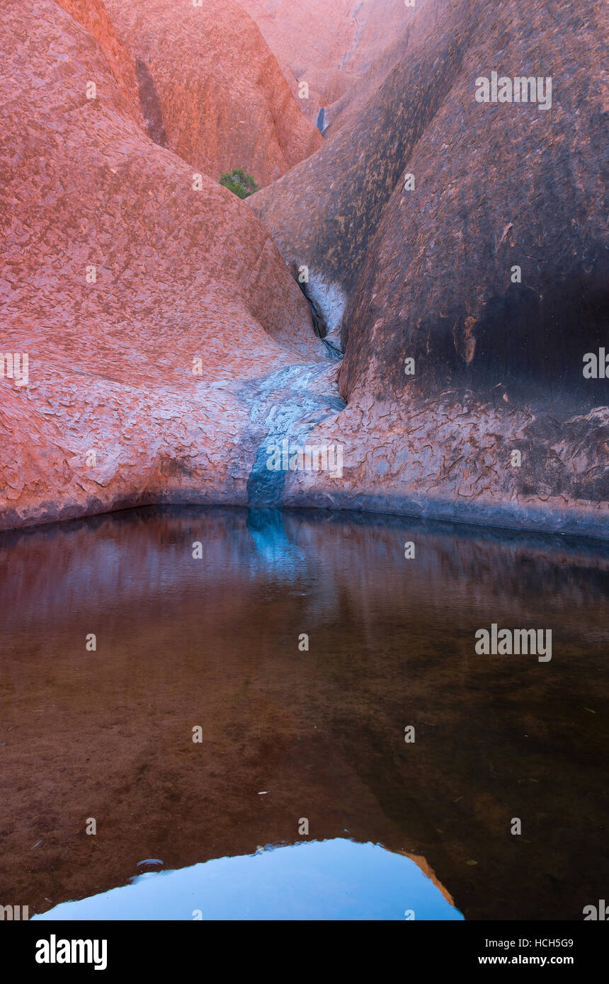 red rock and water filled basin of mutijulu water hole at uluru ...