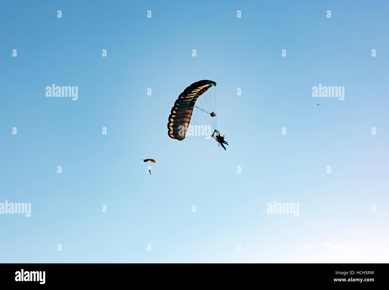 Skydivers, one in solo and one in tandem, extreme sport, parachutists ...