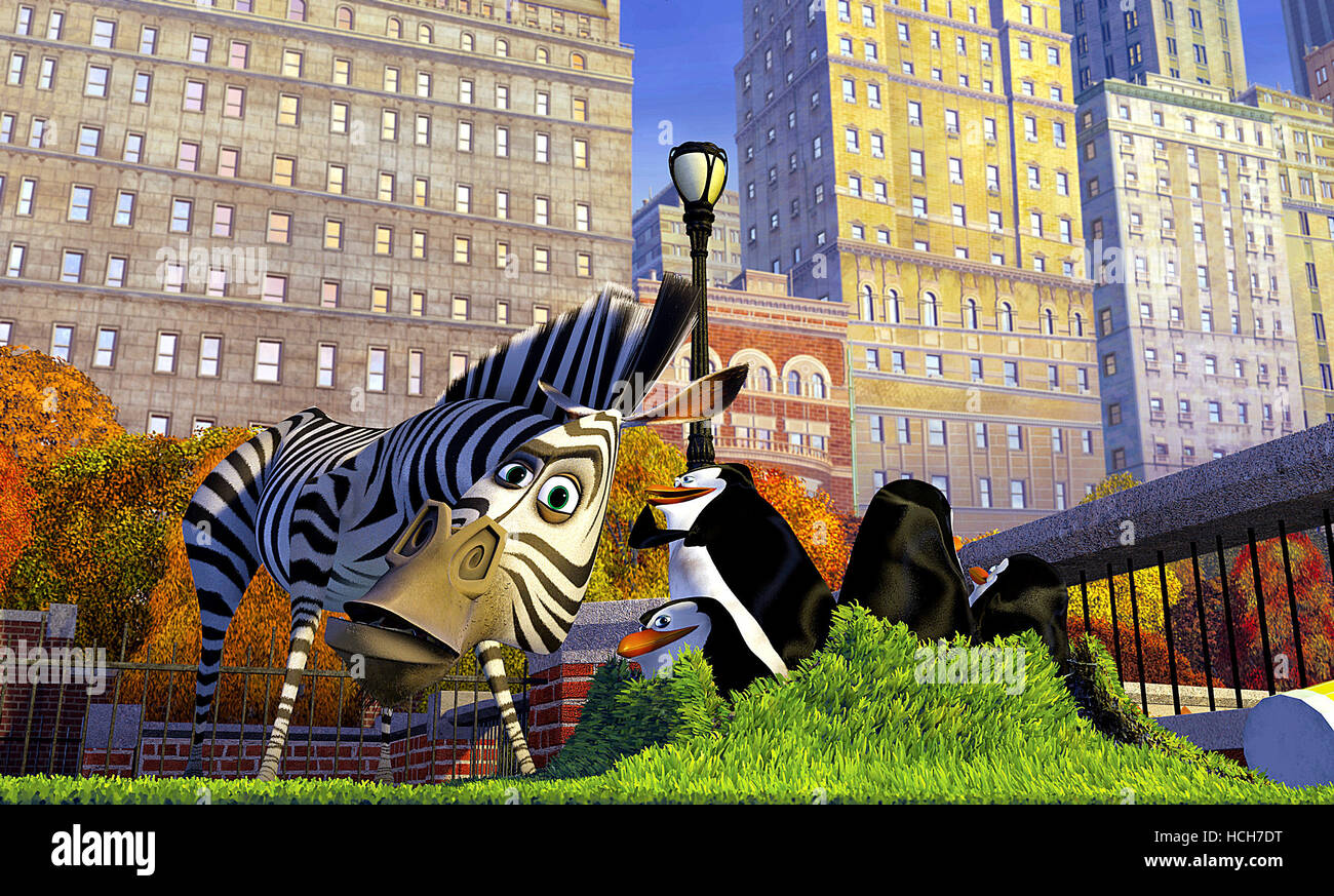 MADAGASCAR, Marty, 2005, ©DreamWorks/courtesy Everett Collection Stock ...