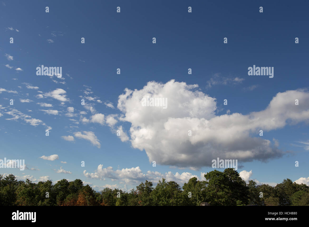Blue sky green trees over hi-res stock photography and images - Alamy
